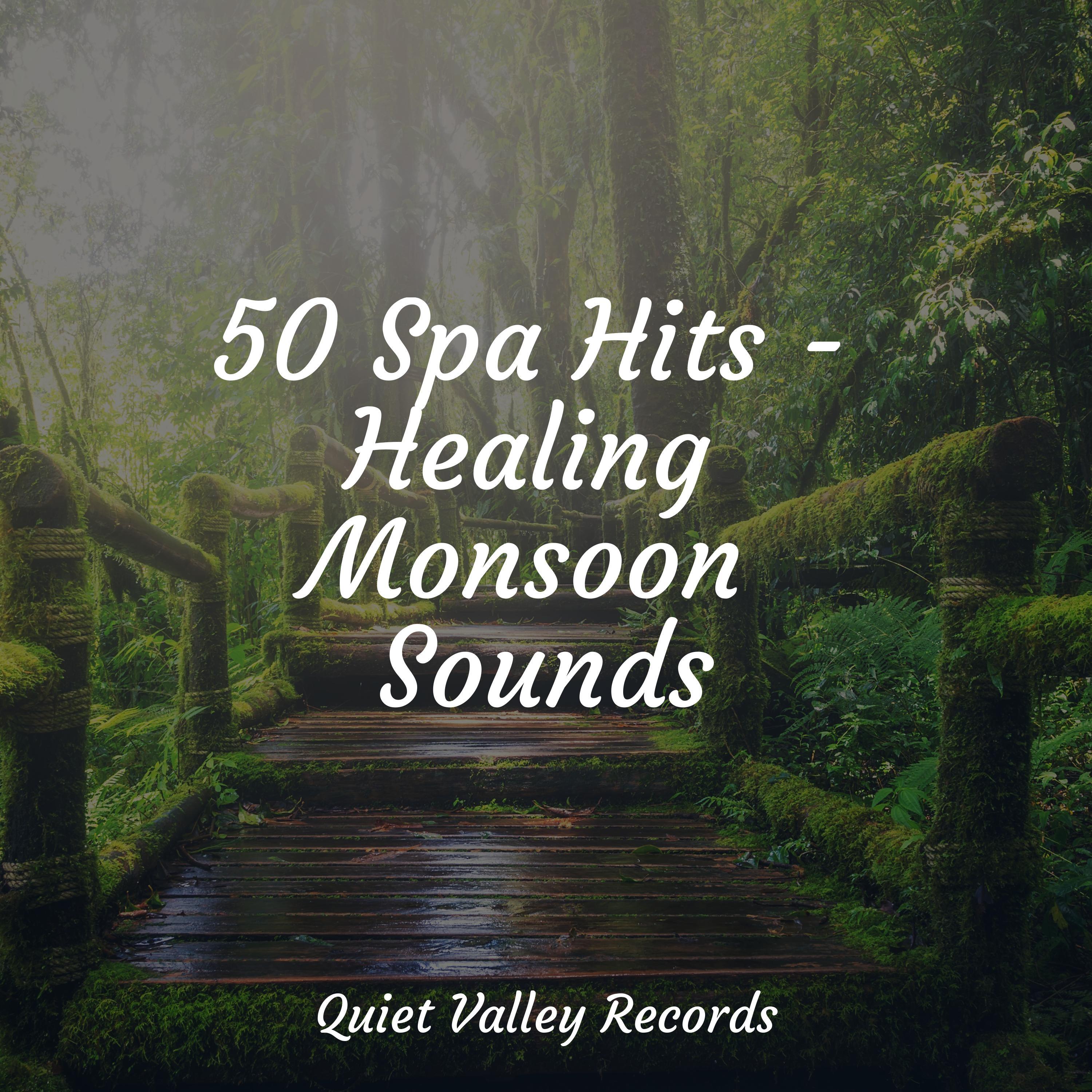 50 Spa Hits - Healing Monsoon Sounds - Rain Forest FX - 专辑 - 网易云音乐