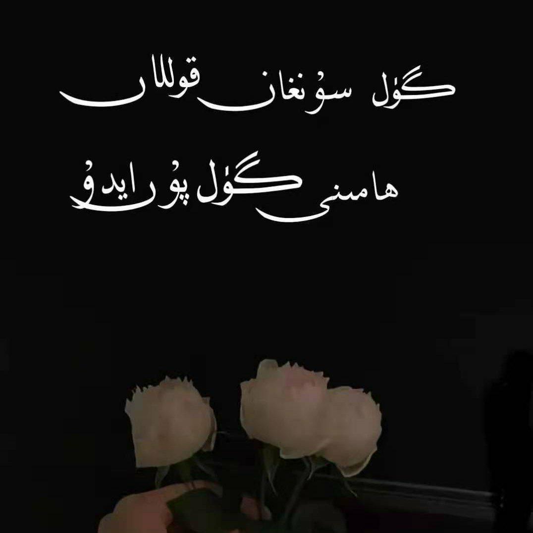 يول بولسۇن دۇتتار - DUTTAR♪ KUYILIRI - 电台节目 - 网易云音乐