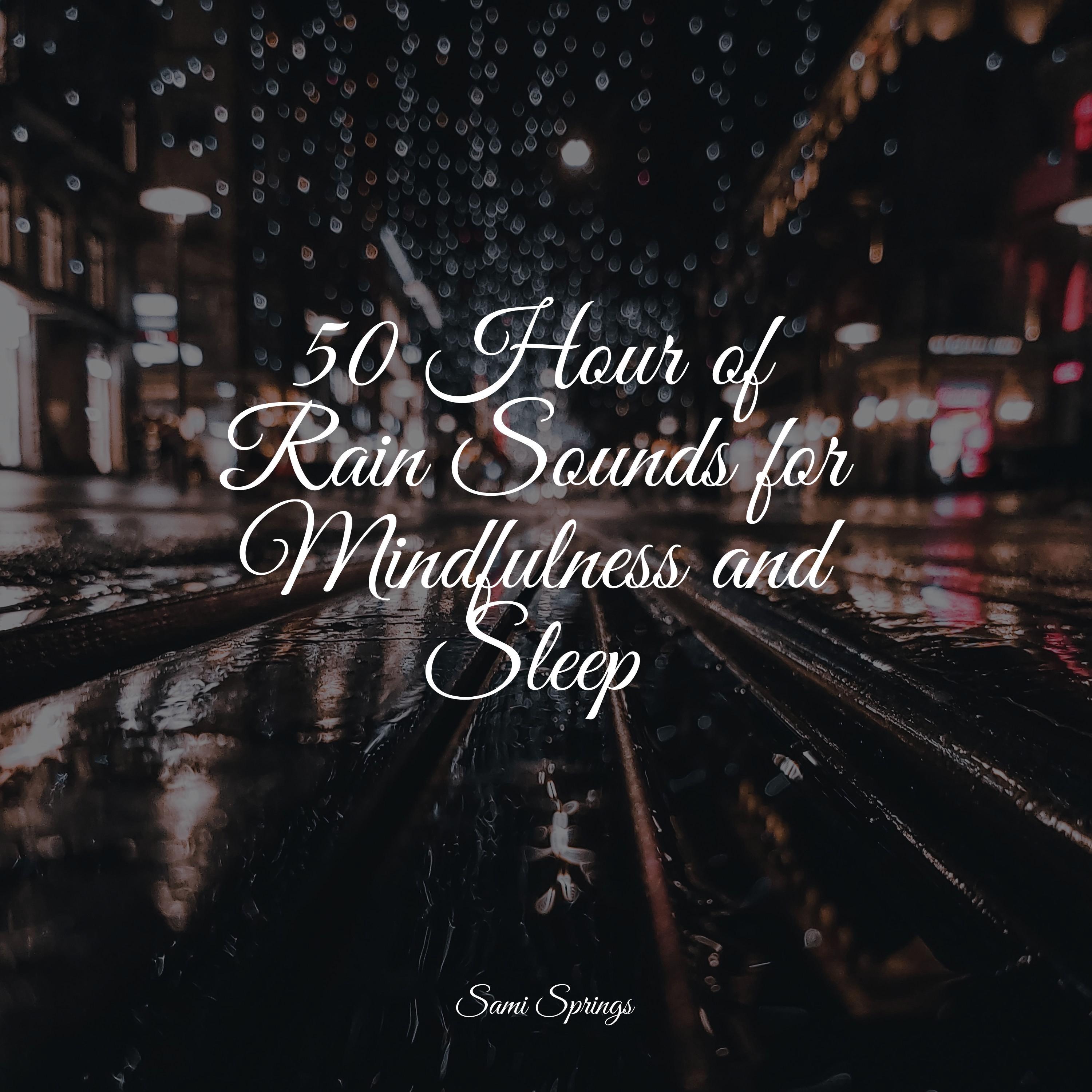 Meek Trickles - Sonidos De Truenos y Lluvia/Meditation Spa/Música para ...