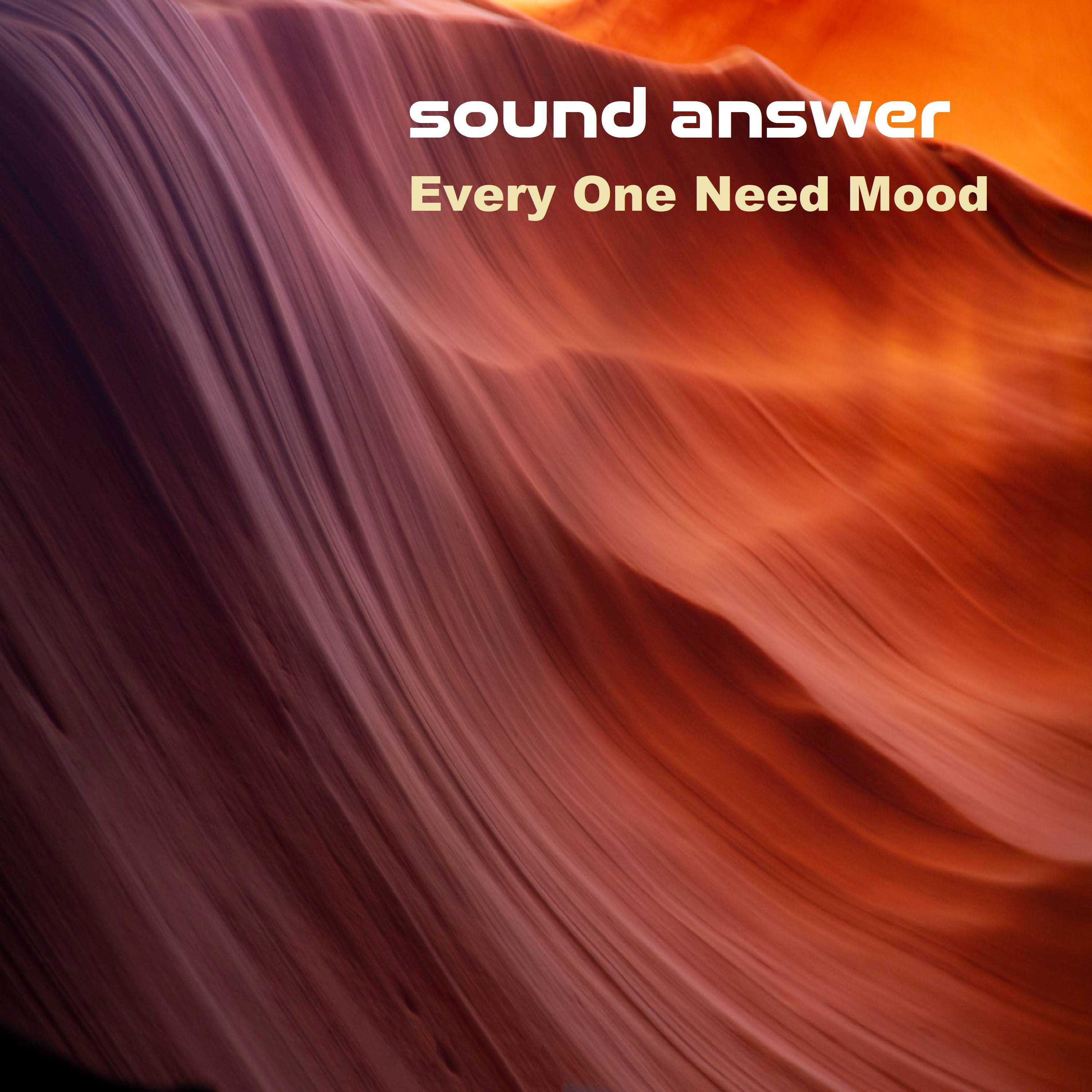 Every One Need Mood - Sound Answer - 专辑 - 网易云音乐