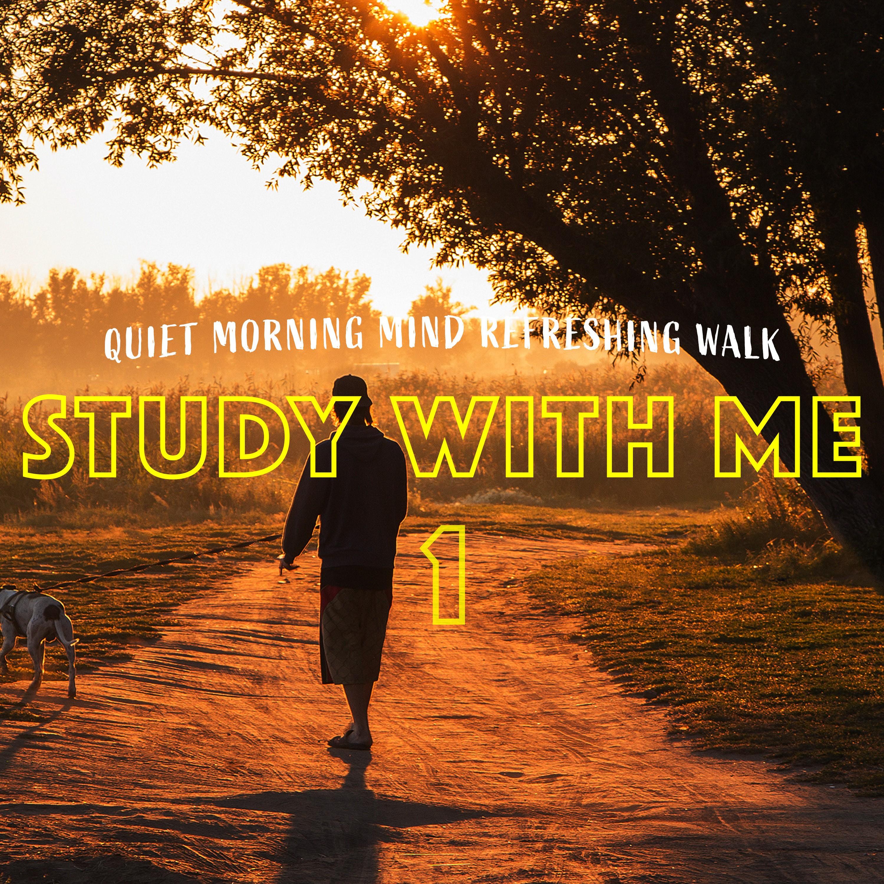Quiet Morning Mind Refreshing Walk, Pt. 11 - Bryan Maxwell - 单曲 - 网易云音乐