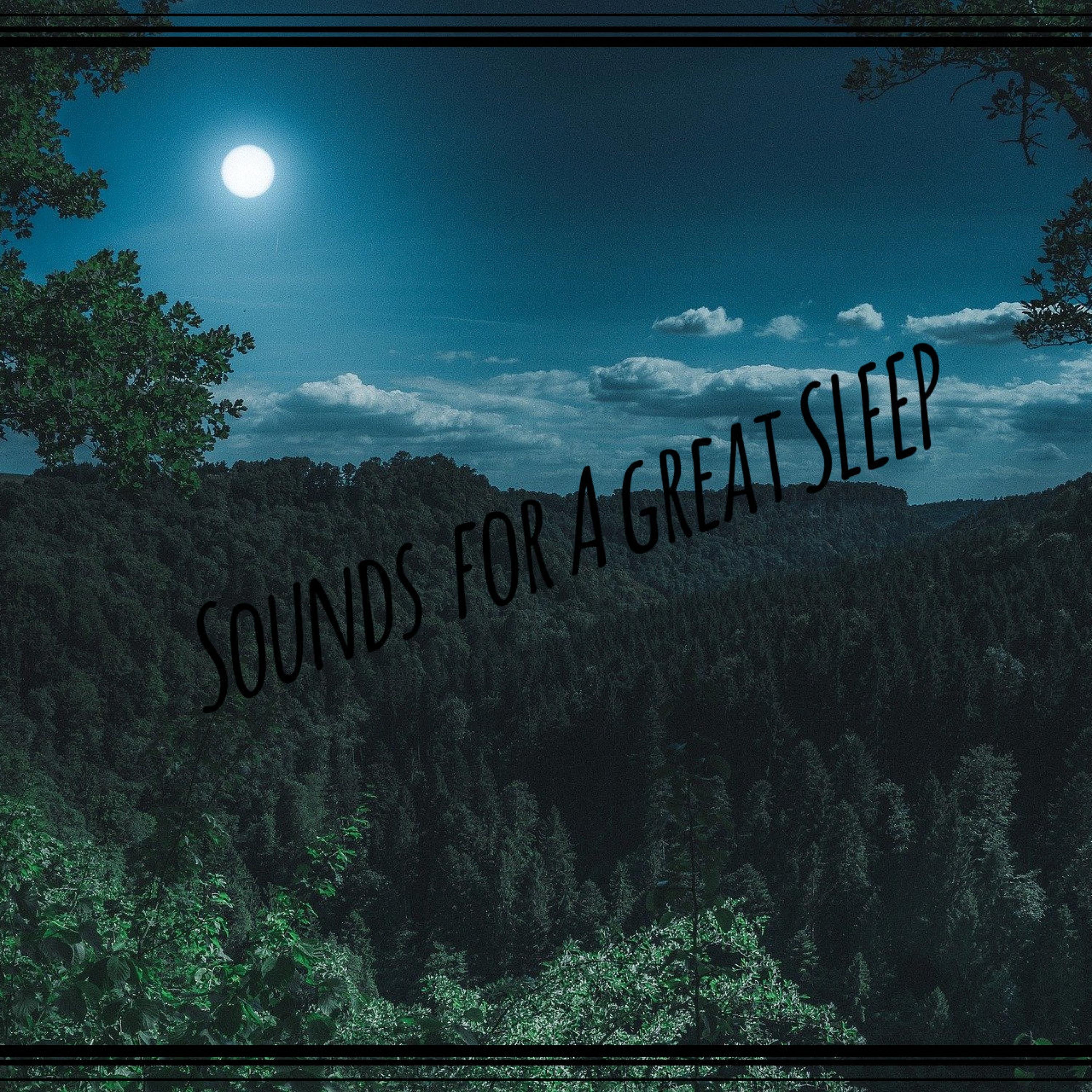 Zzzzzzzzz...... - Songs For A Great Sleep - 单曲 - 网易云音乐