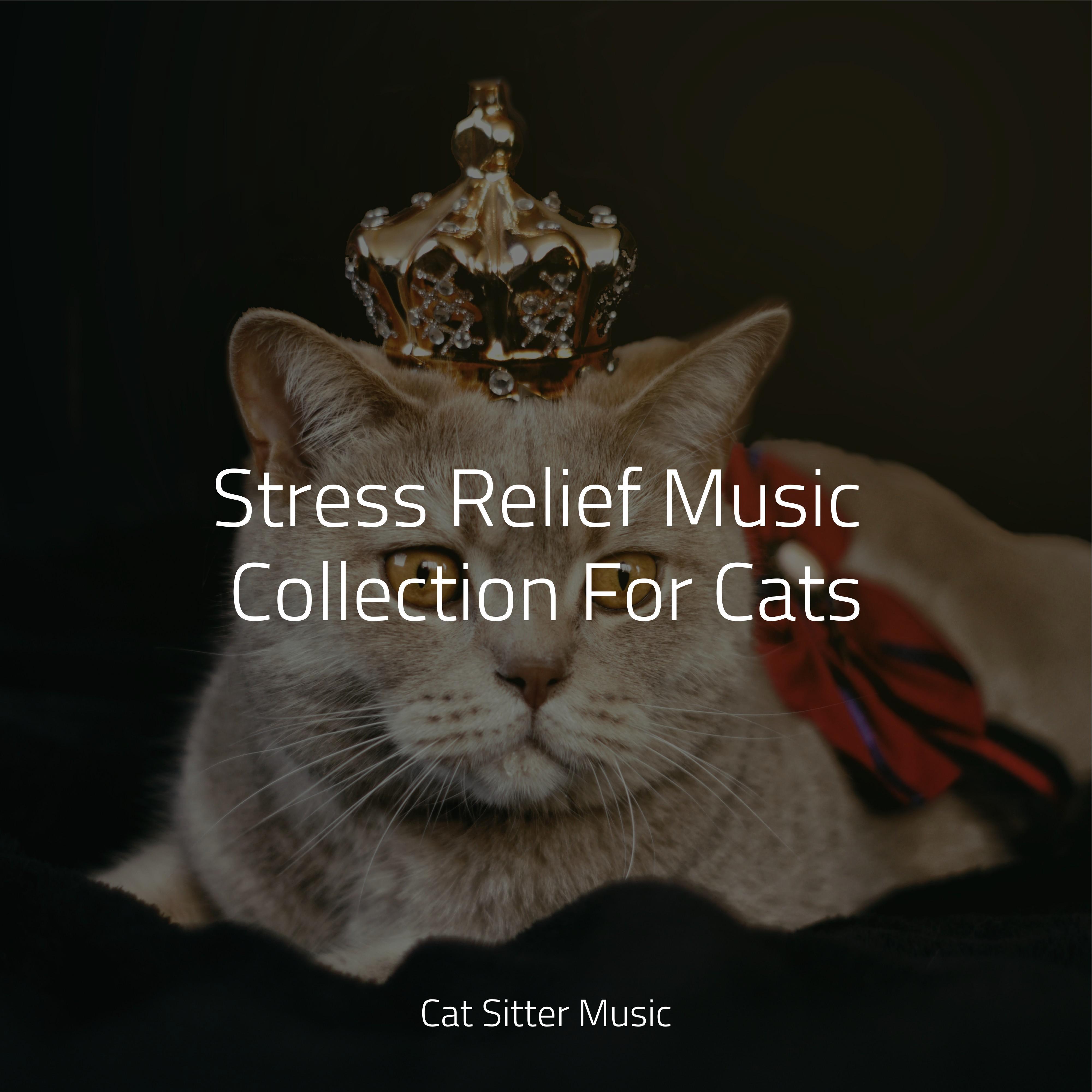 Lazy Morning - Music for Relaxing Cats/Calm Music for Cats/Cat Music ...