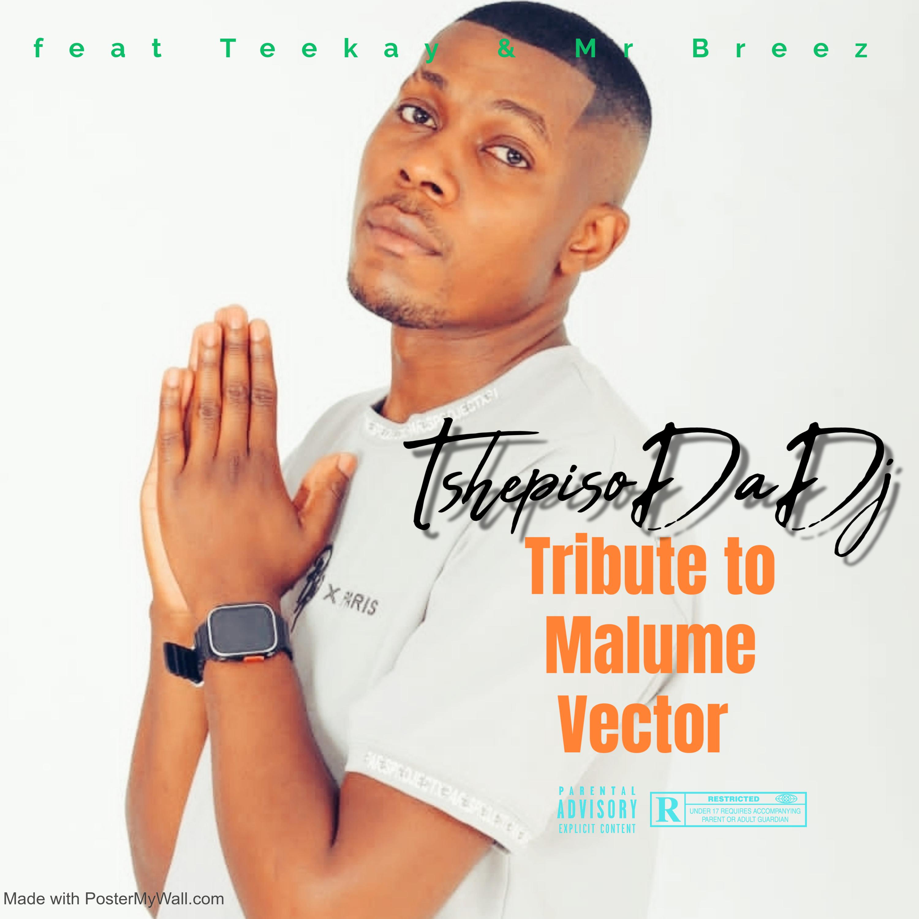 Tribute to Malume Vector - TshepisoDaDj/Steamz Beatz/Teekay/Mr Breez ...