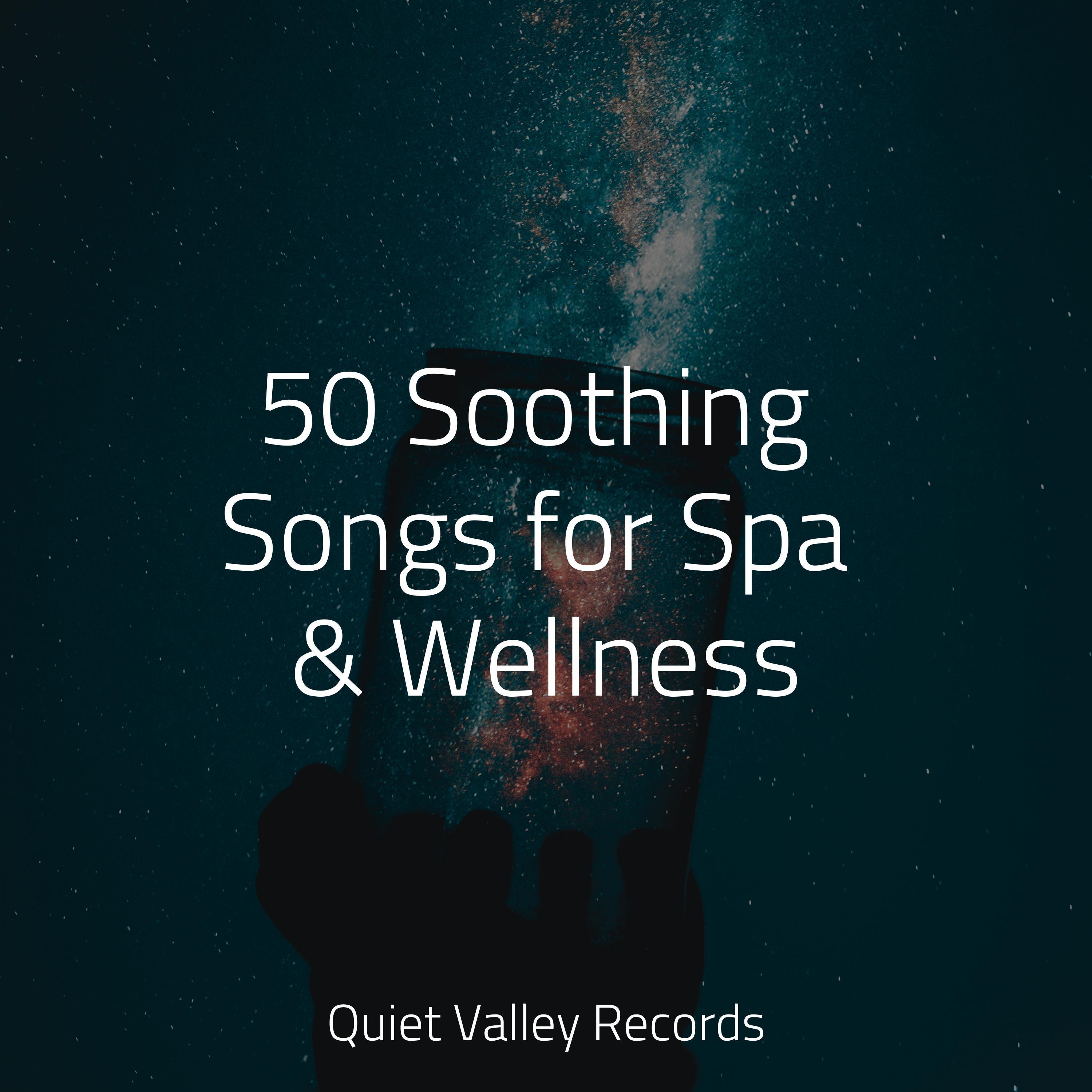 50 Soothing Songs for Spa & Wellness - Nature Ambience - 专辑 - 网易云音乐