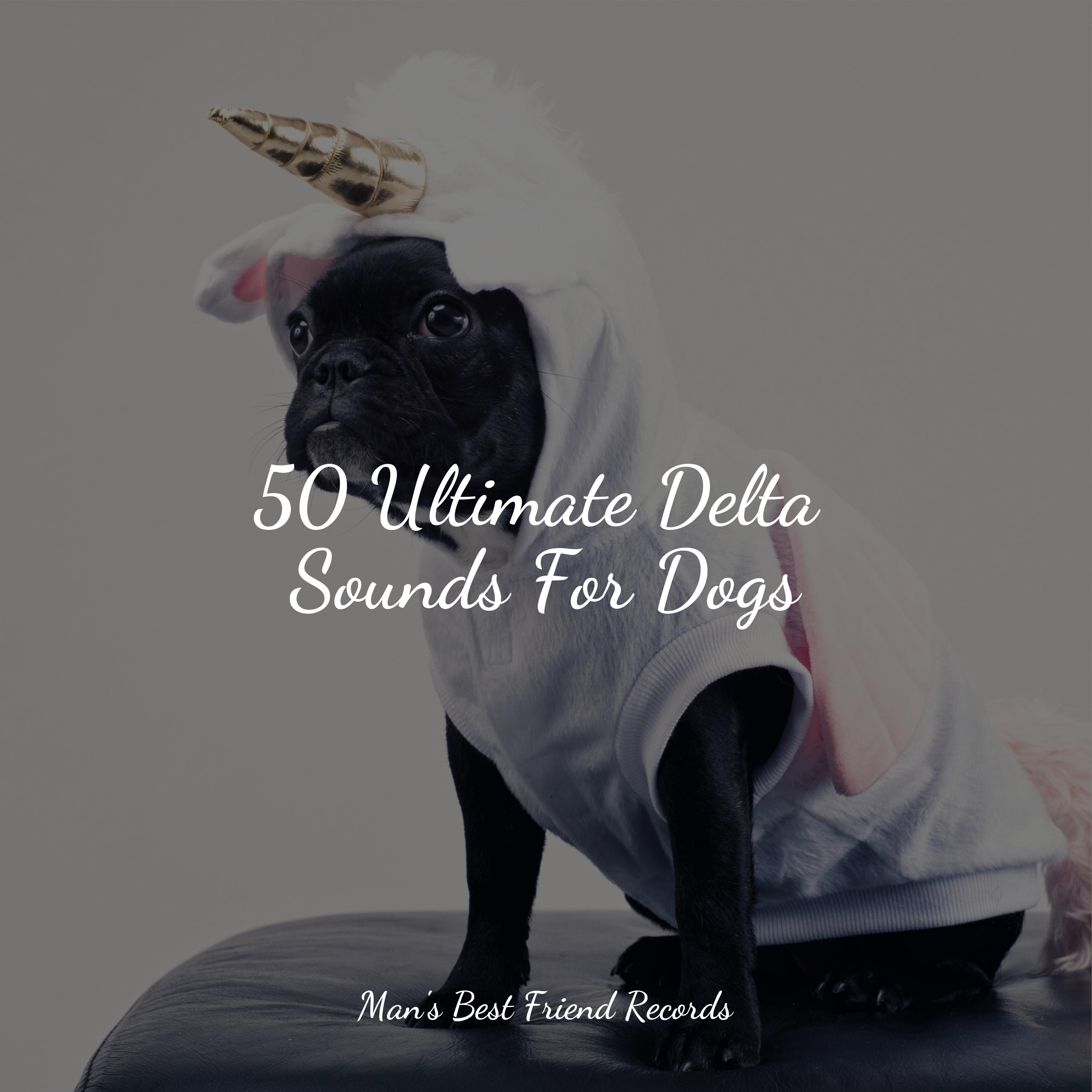50 Ultimate Delta Sounds For Dogs - Music for Calming Dogs - 专辑 - 网易云音乐
