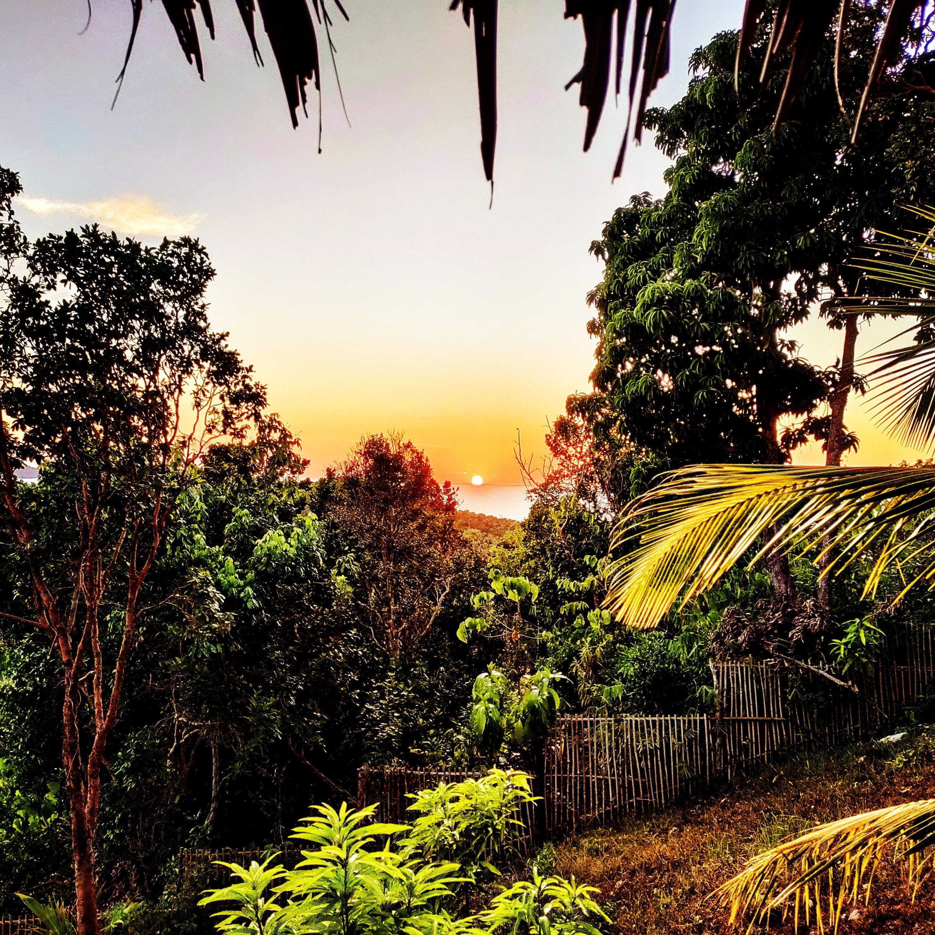 Is This It? - Steve Axell - 专辑 - 网易云音乐