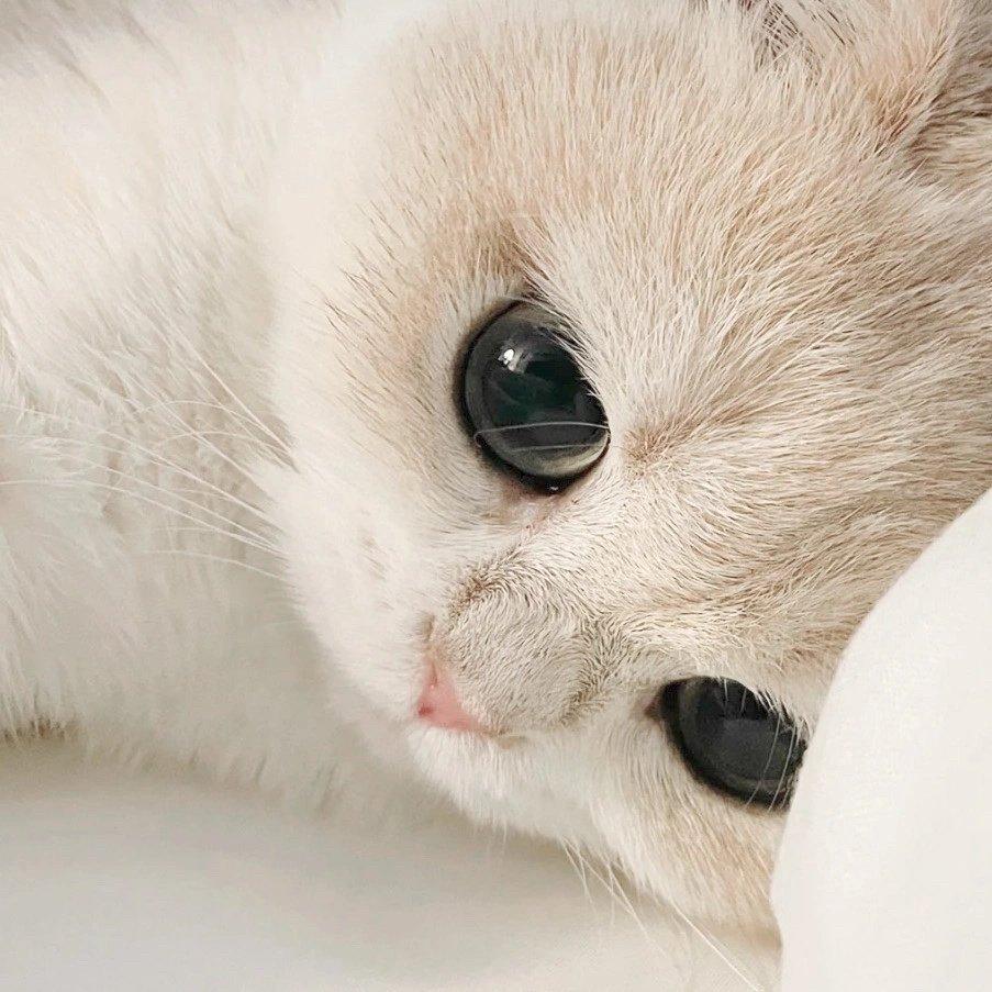 chop rap - 歌单 - 网易云音乐