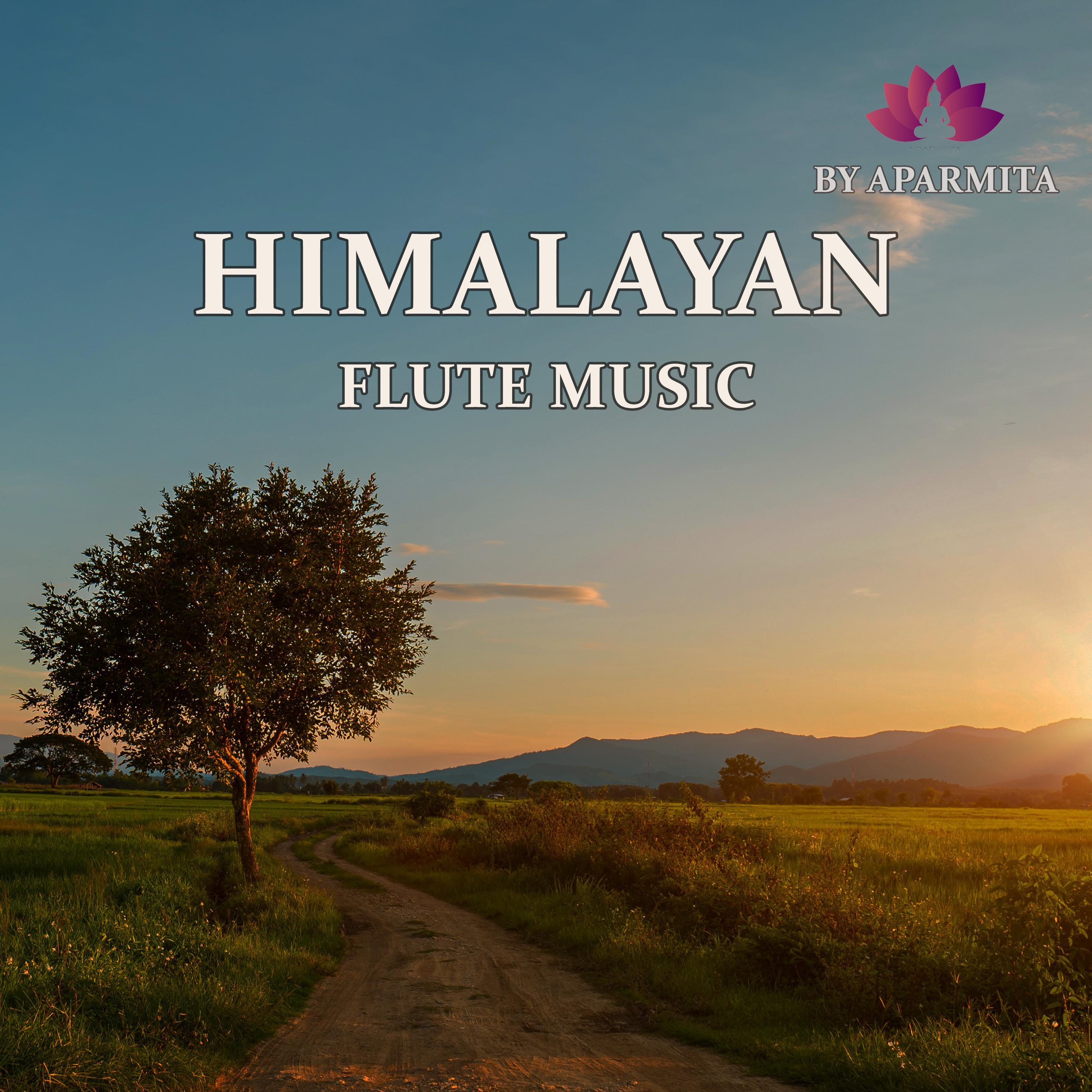 Himalayan Flute Music Epi. 129 - Aparmita - 单曲 - 网易云音乐