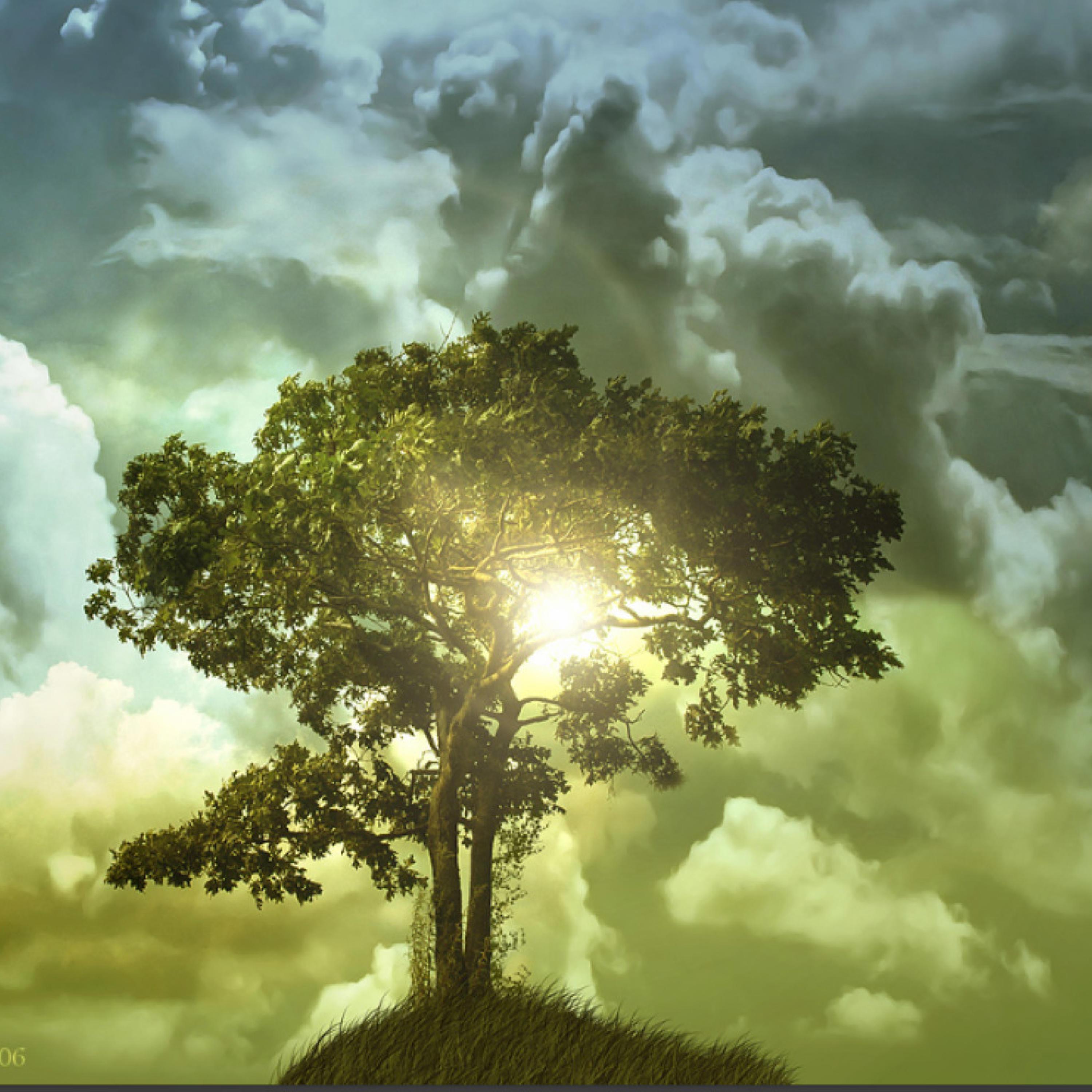 BROKEN DREAMS (feat. 4EVER) - Yella Feva/4EVER - 单曲 - 网易云音乐