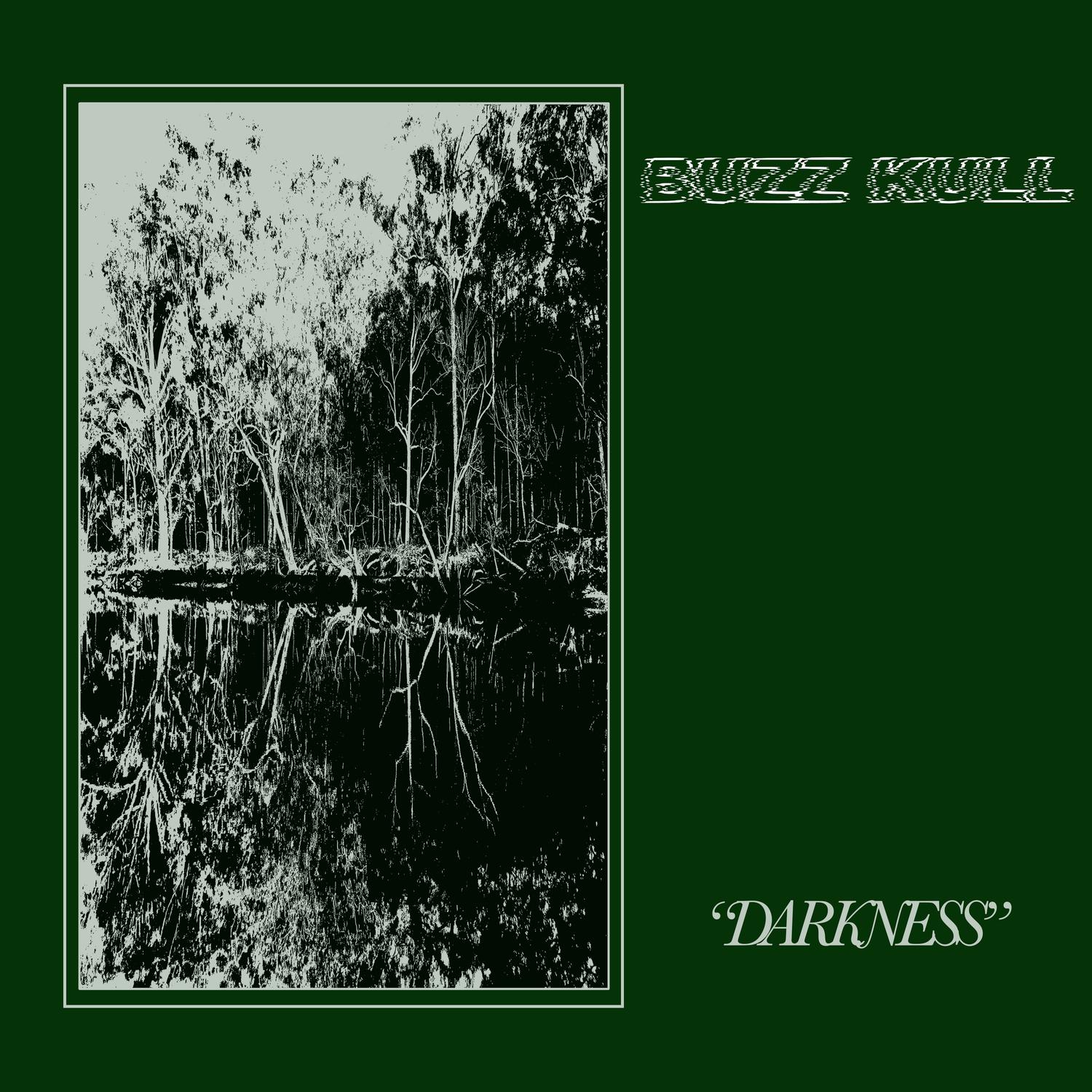 Darkness - Buzz Kull - 单曲 - 网易云音乐