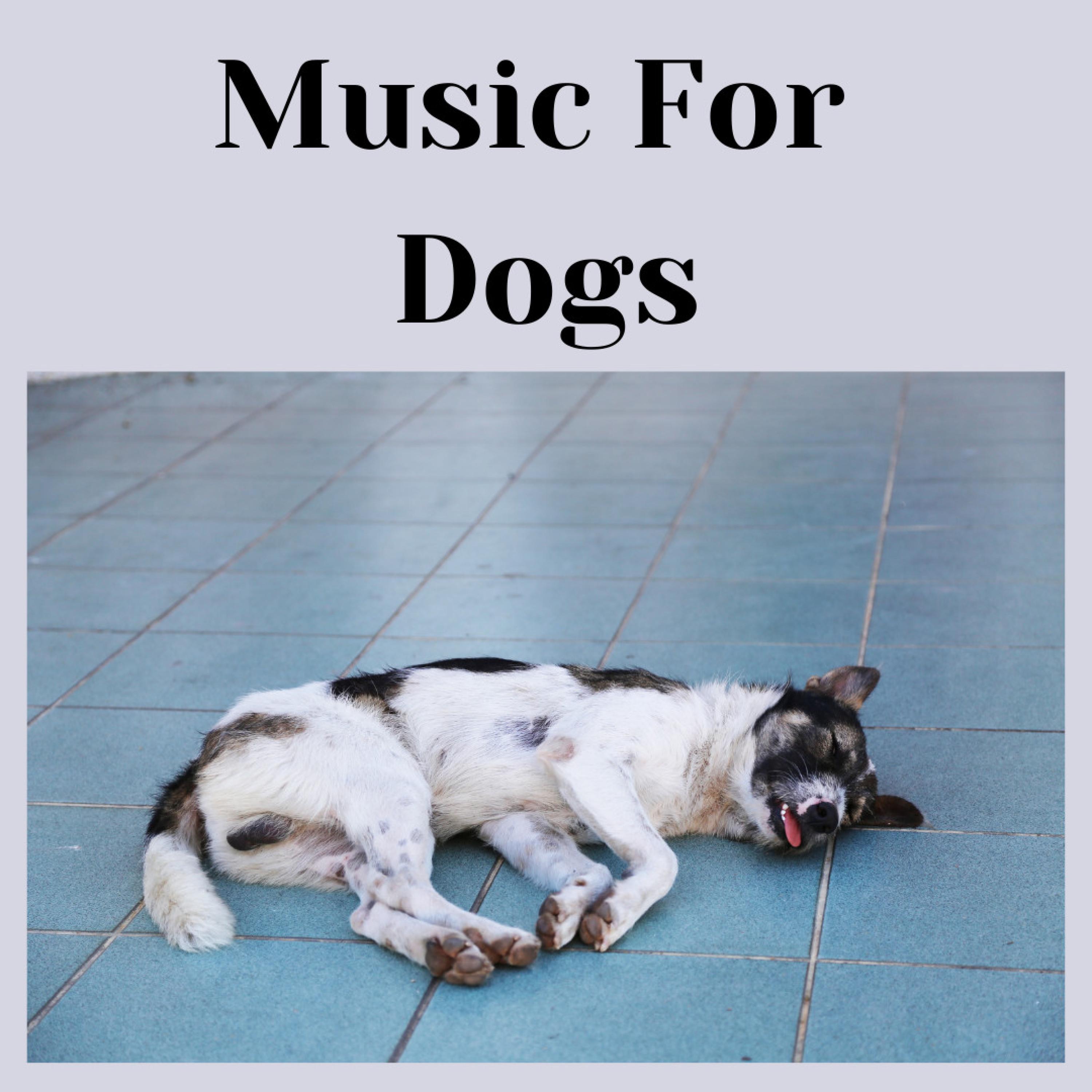 Canine Collection - Music For Dogs/Music For Dogs Peace/Relaxing Puppy ...