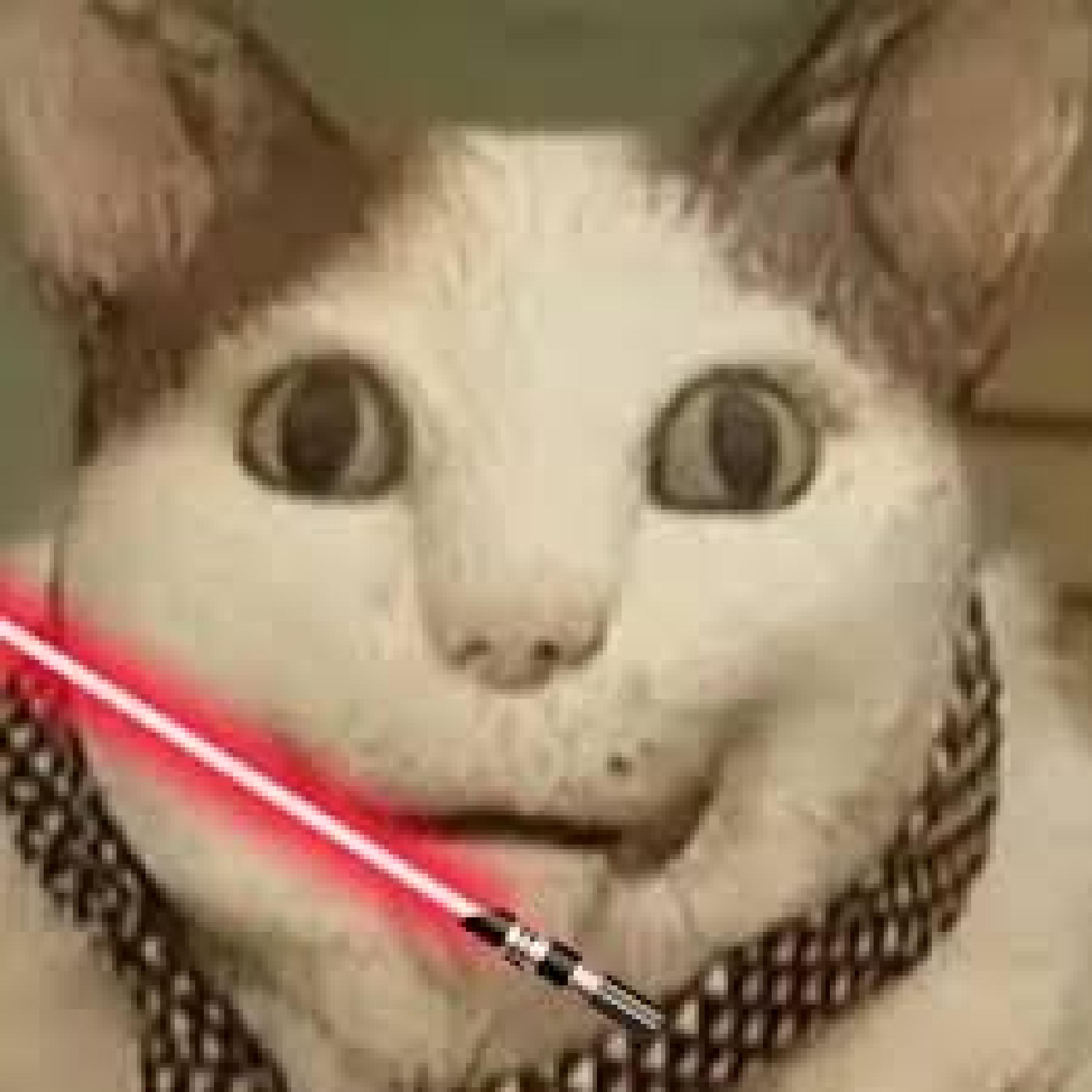 SCARY CAT FUNK - Rodzilla - 专辑 - 网易云音乐