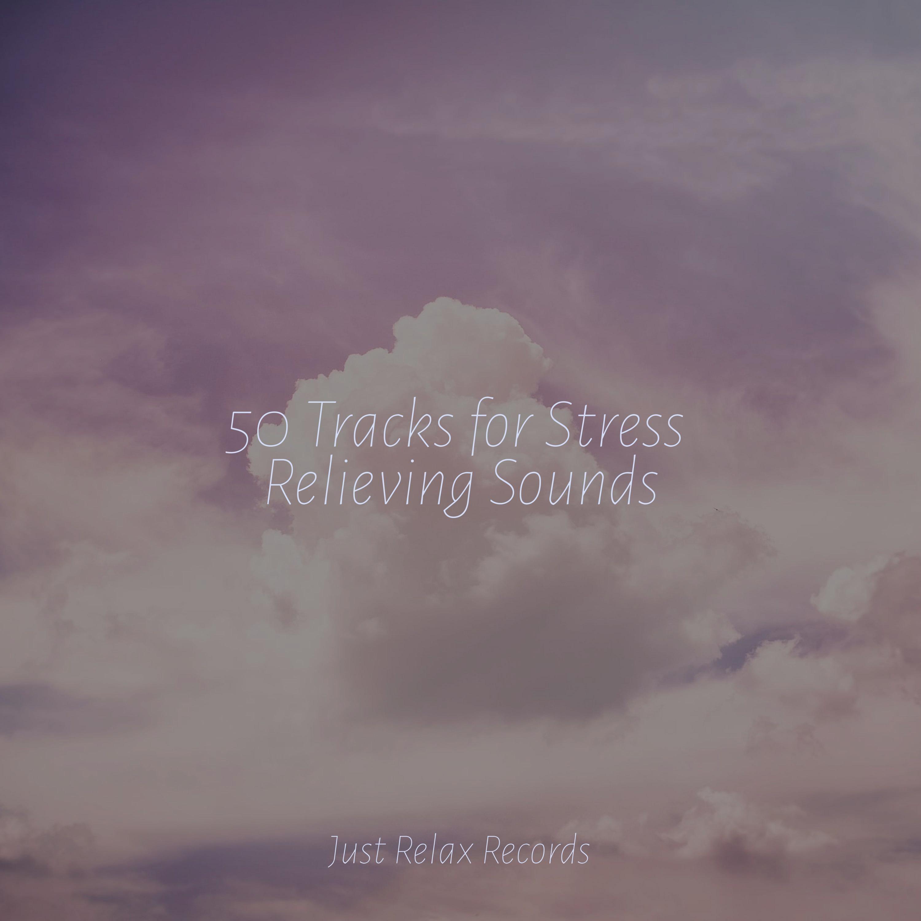 50 Tracks for Stress Relieving Sounds - Lullaby Land - 专辑 - 网易云音乐