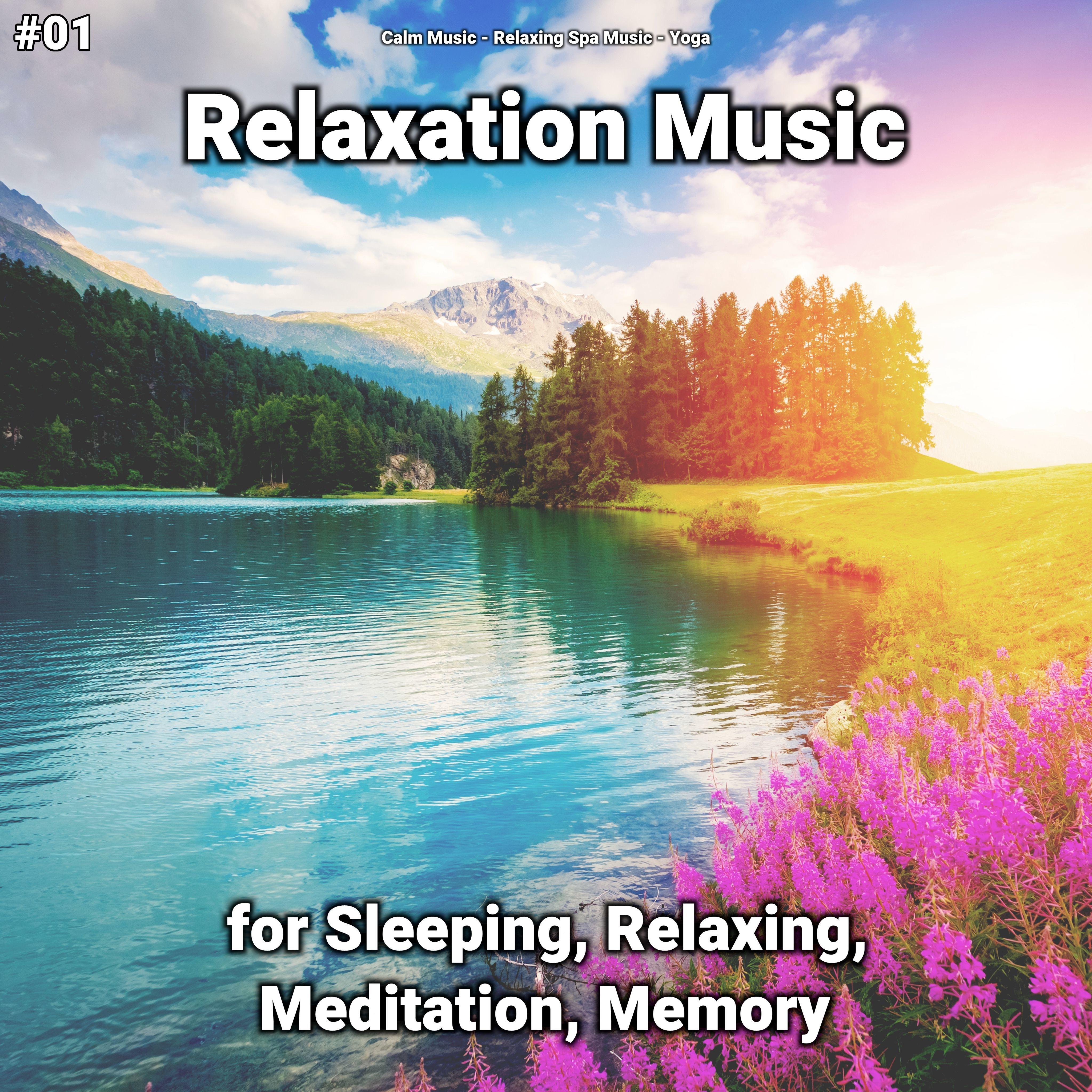 Calming Music - Calm Music/Relaxing Spa Music/Yoga - 单曲 - 网易云音乐