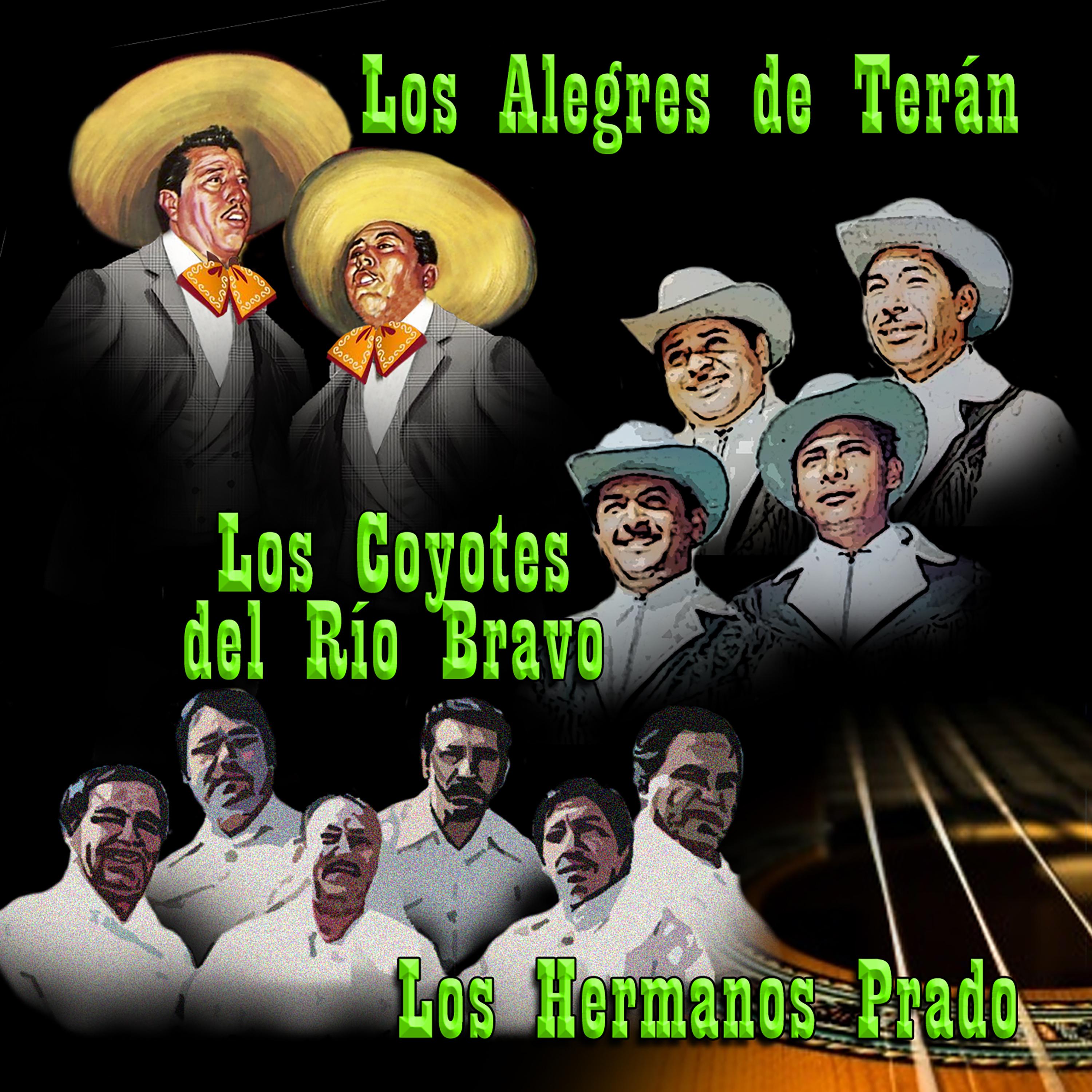 Regresa y Ven a Mí - Los Coyotes Del Río Bravo - 单曲 - 网易云音乐