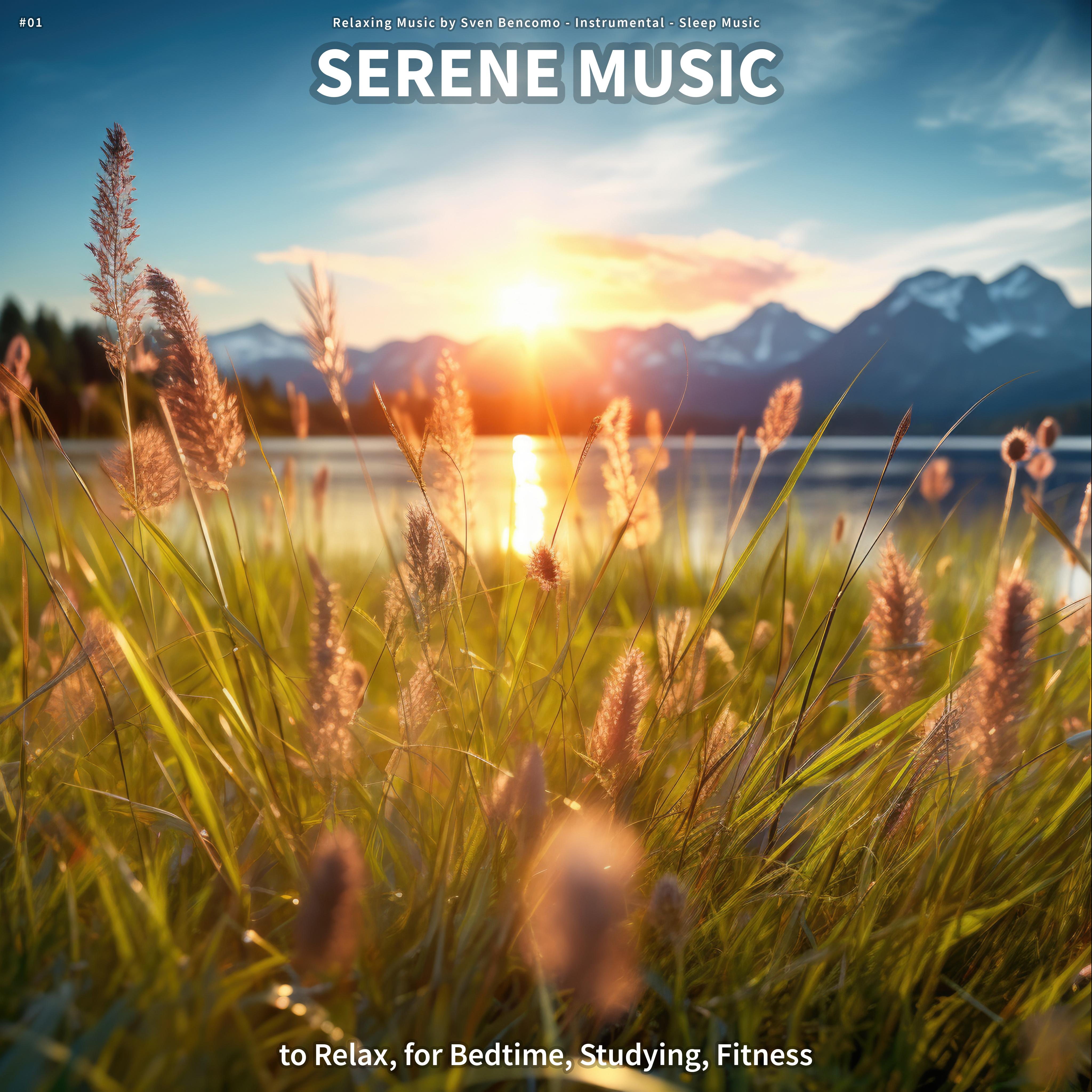 #01 Serene Music to Relax, for Bedtime, Studying, Fitness - Relaxing ...