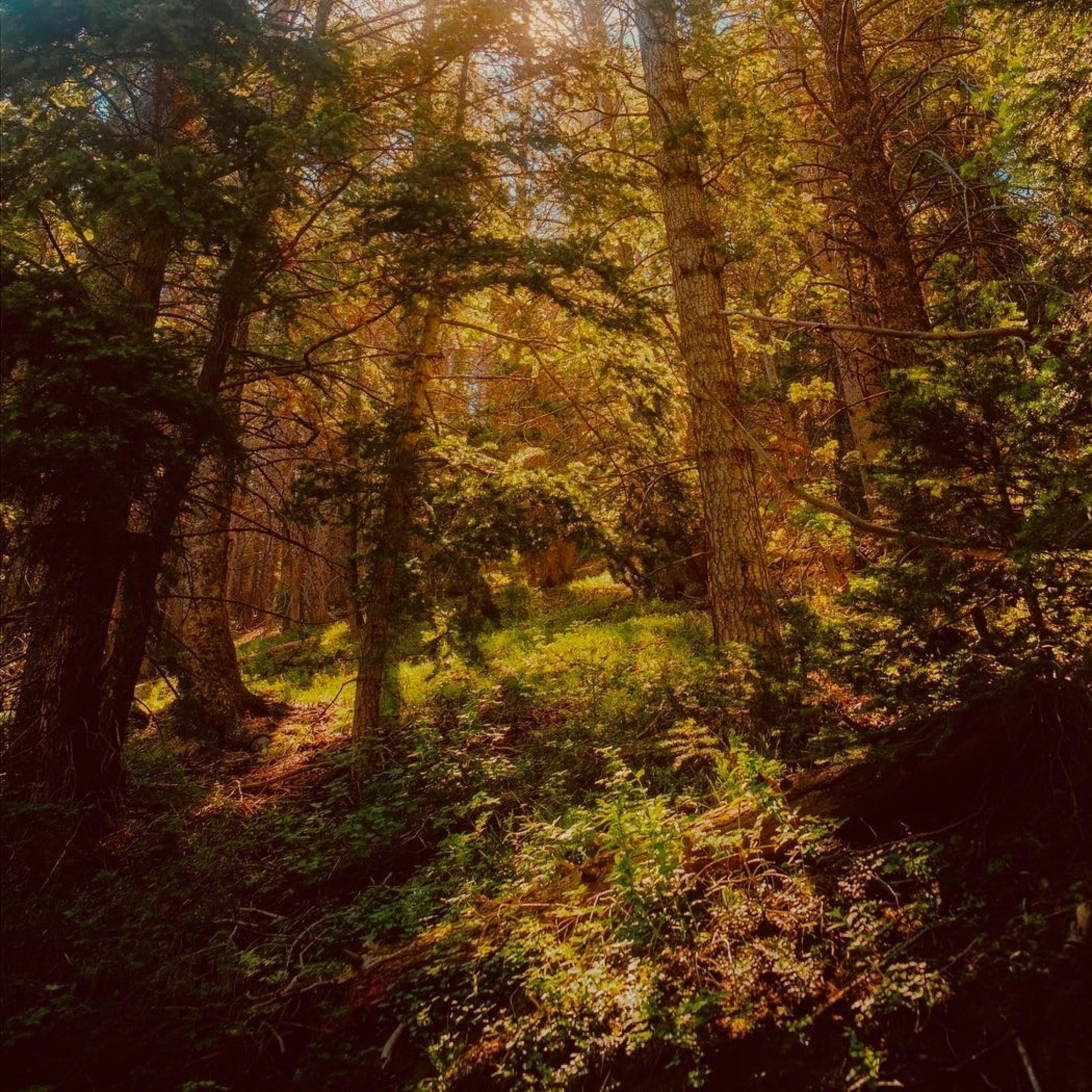 RACING - Xar - 单曲 - 网易云音乐