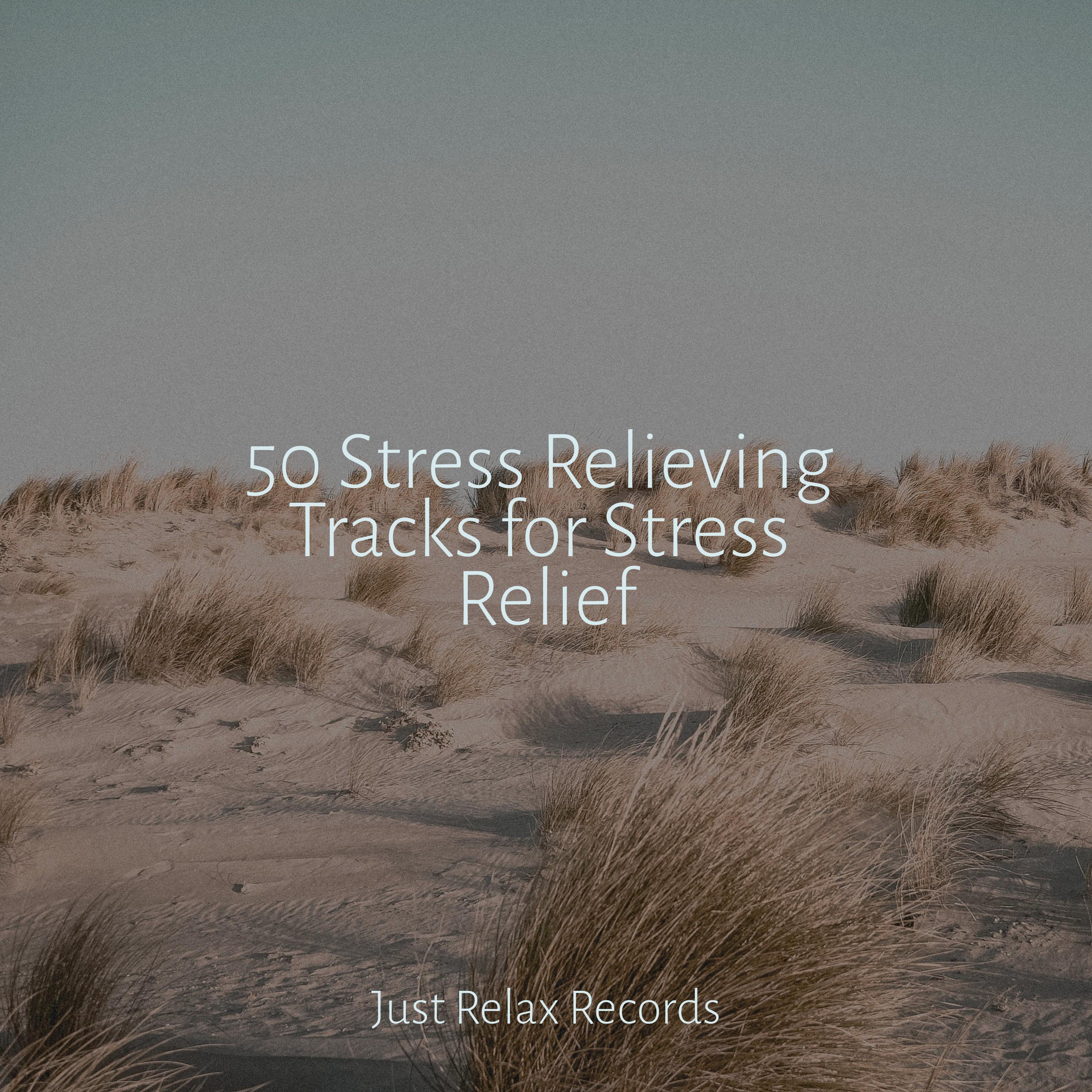 50 Stress Relieving Tracks for Stress Relief - Chakra Balancing Sound ...