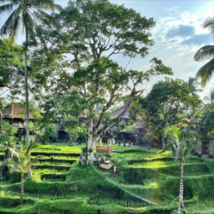 Henrik Zuberstein (John O'Callaghan) - Sunny Garden Mix - Live & Mix ...