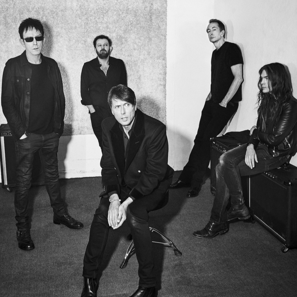 Suede - 歌手 - 网易云音乐