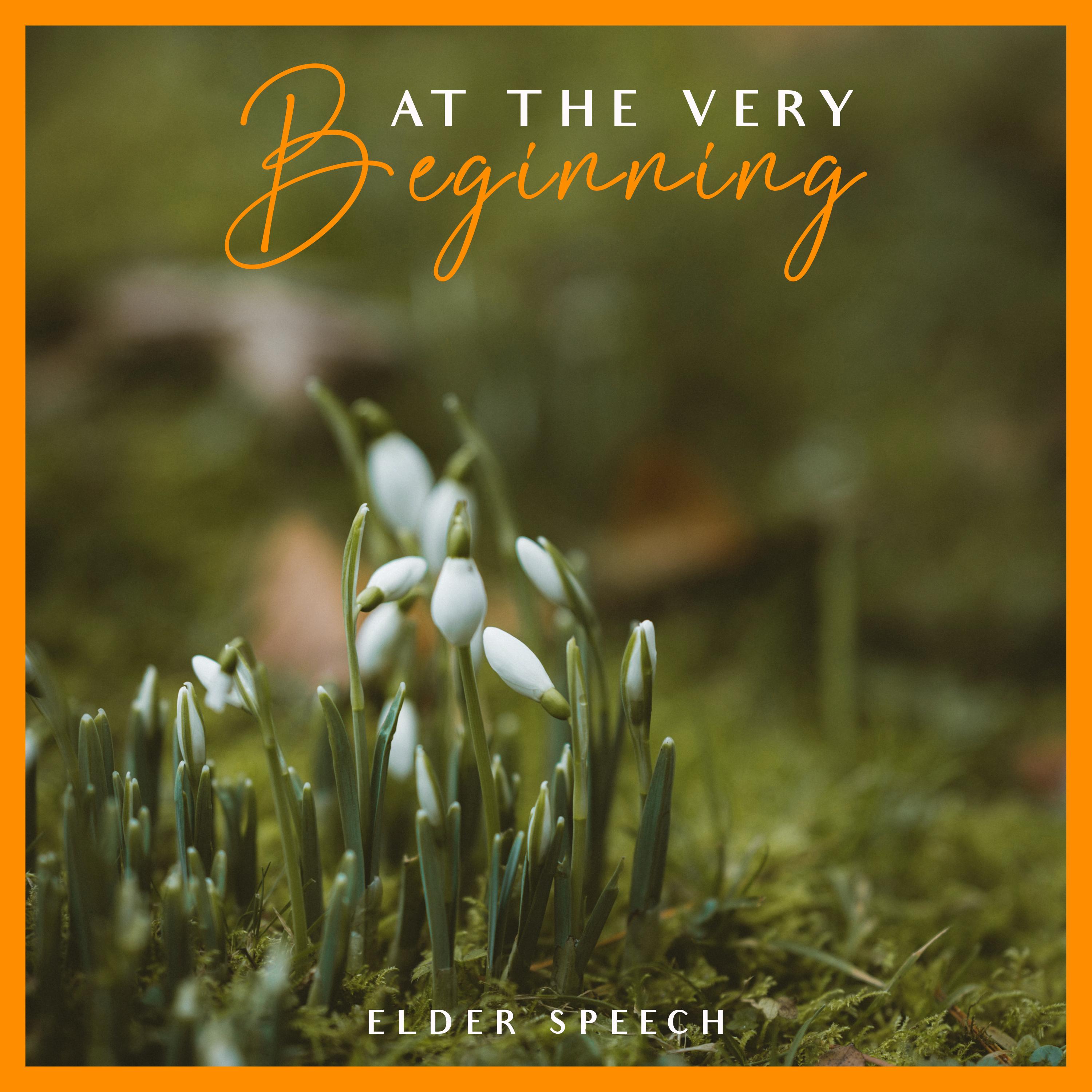 At the very beginning - Elders Speech - 单曲 - 网易云音乐