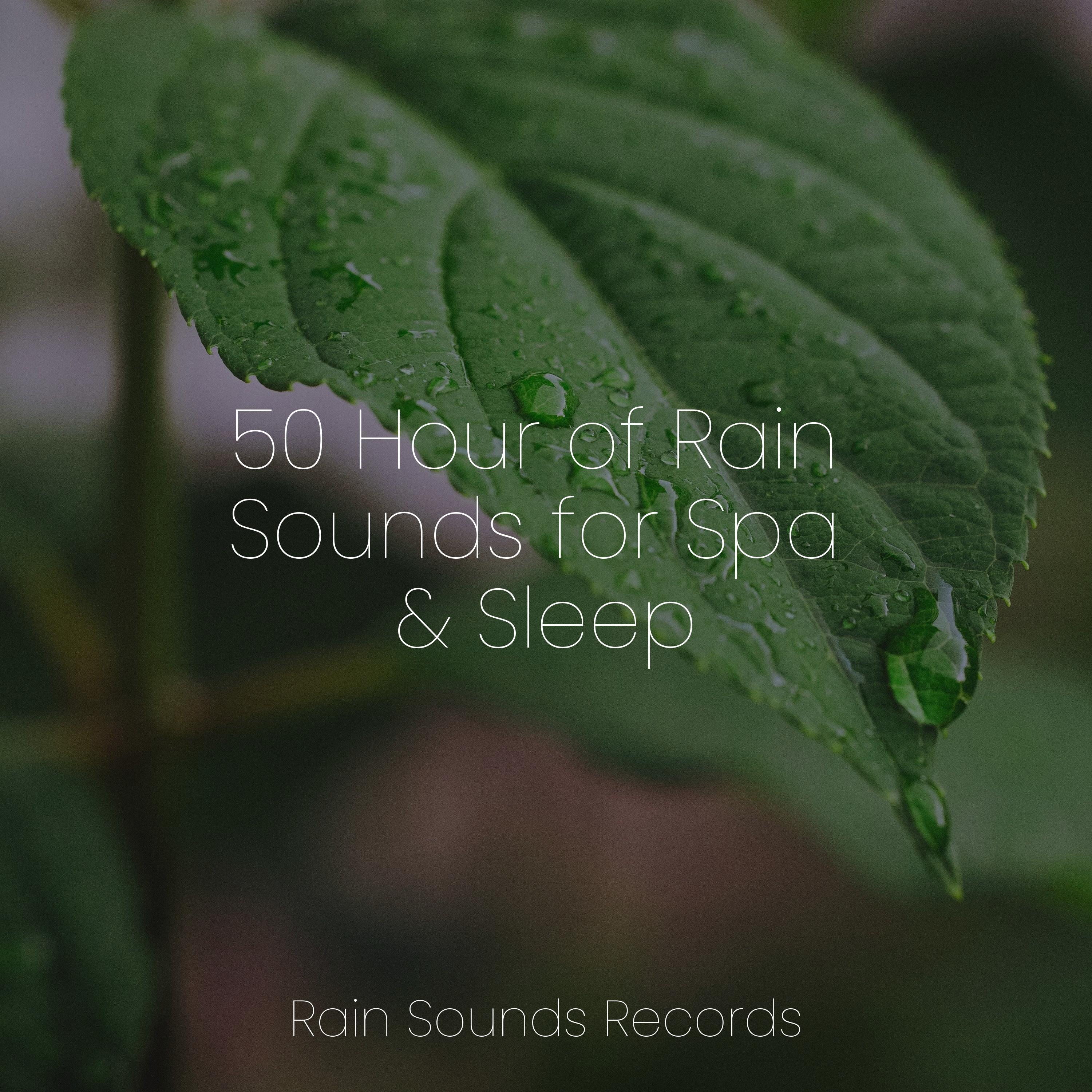 50 Hour of Rain Sounds for Spa & Sleep - Music For Absolute Sleep - 专辑 ...