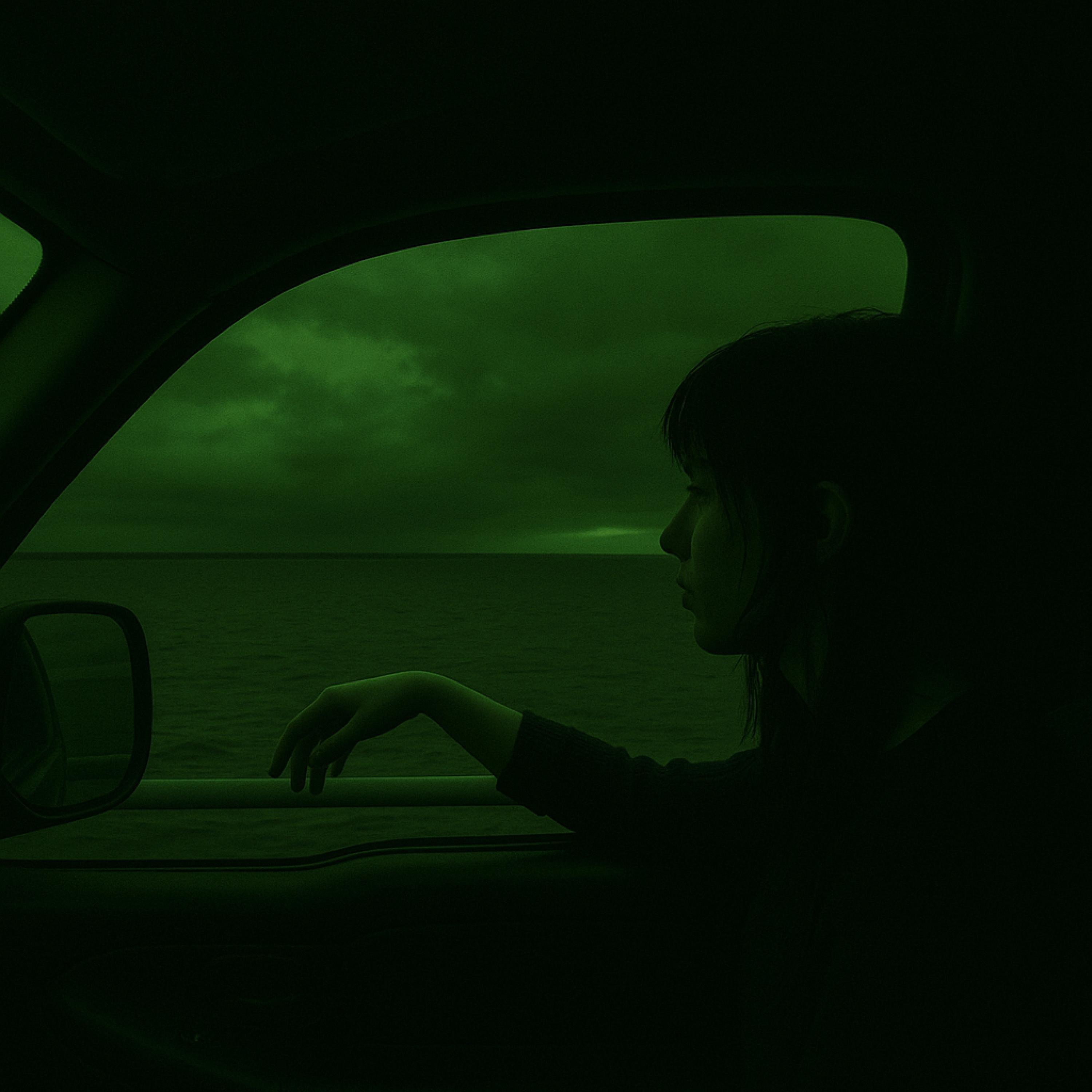 Digital Fireplace - Lofi Chillhop Girl - 单曲 - 网易云音乐