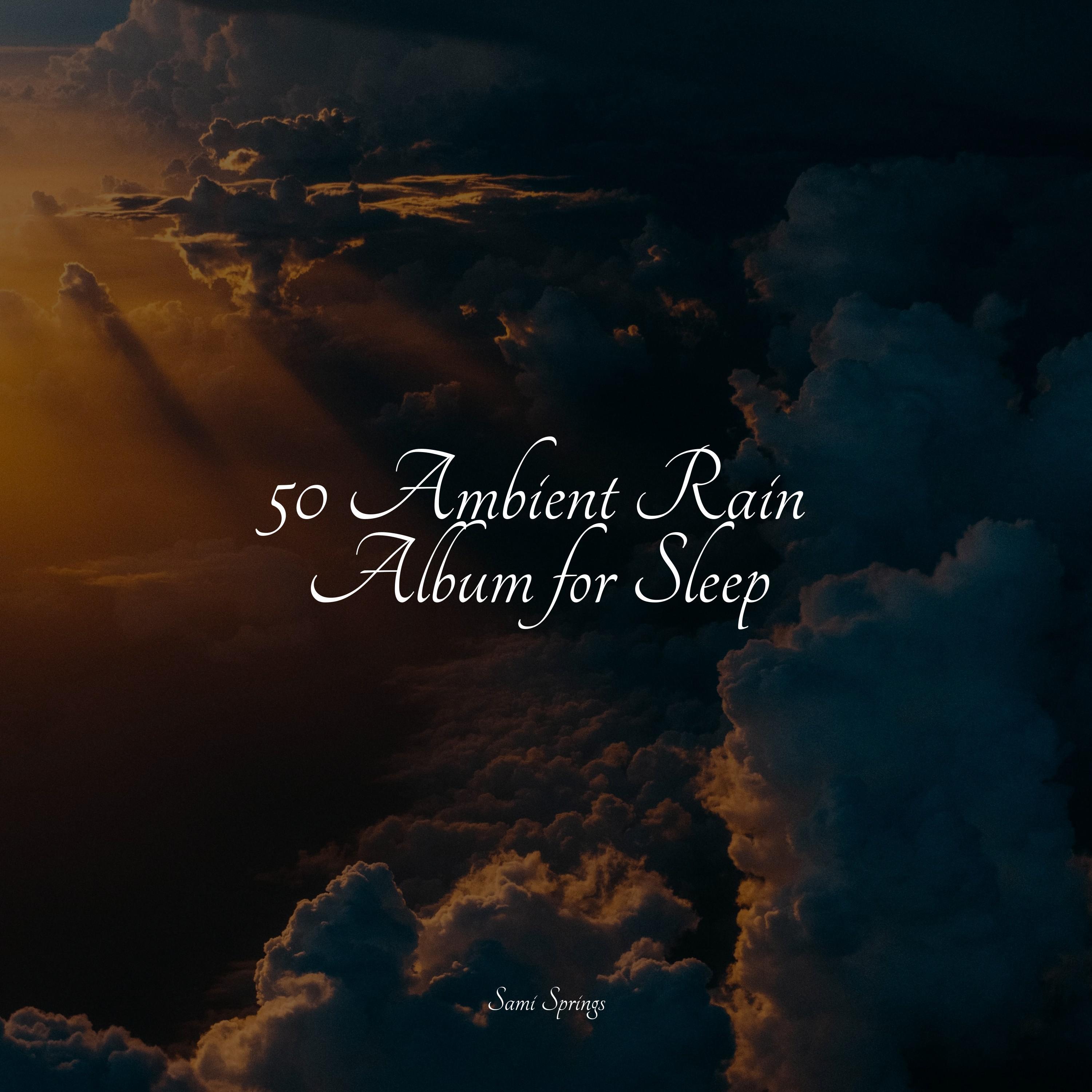 Rain, Wood, Forest - Musique Zen Garden/Natureza Musica Bem-Estar ...