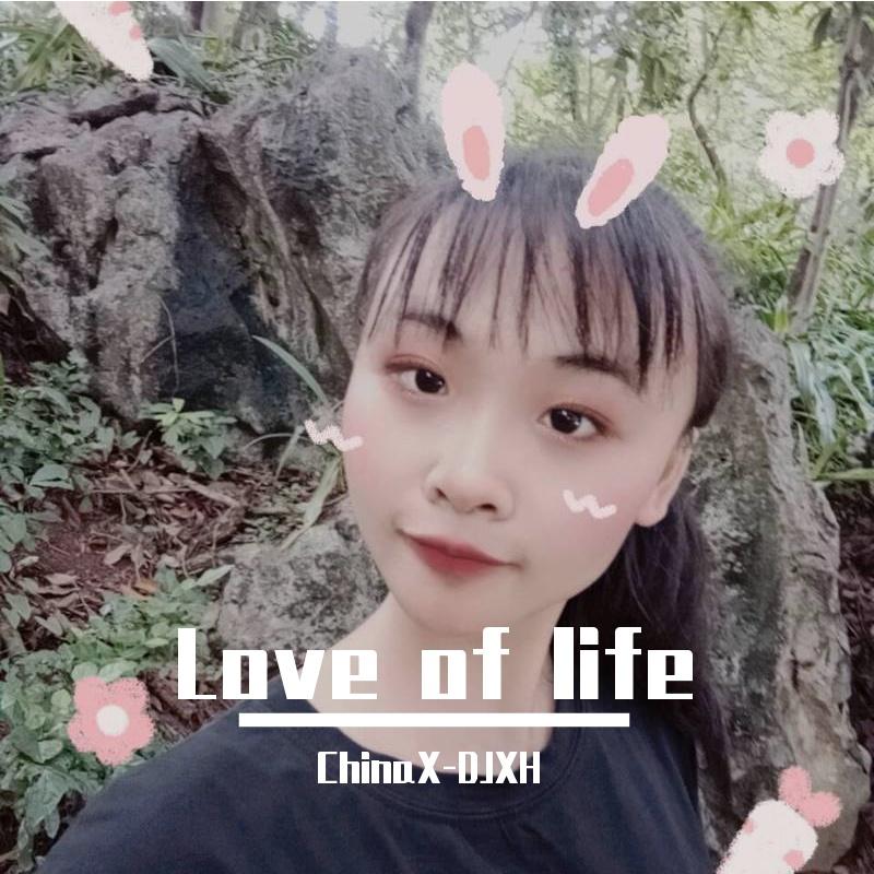 大笨象会跳舞（DJ版） - ChinaX-DJXH - 单曲 - 网易云音乐