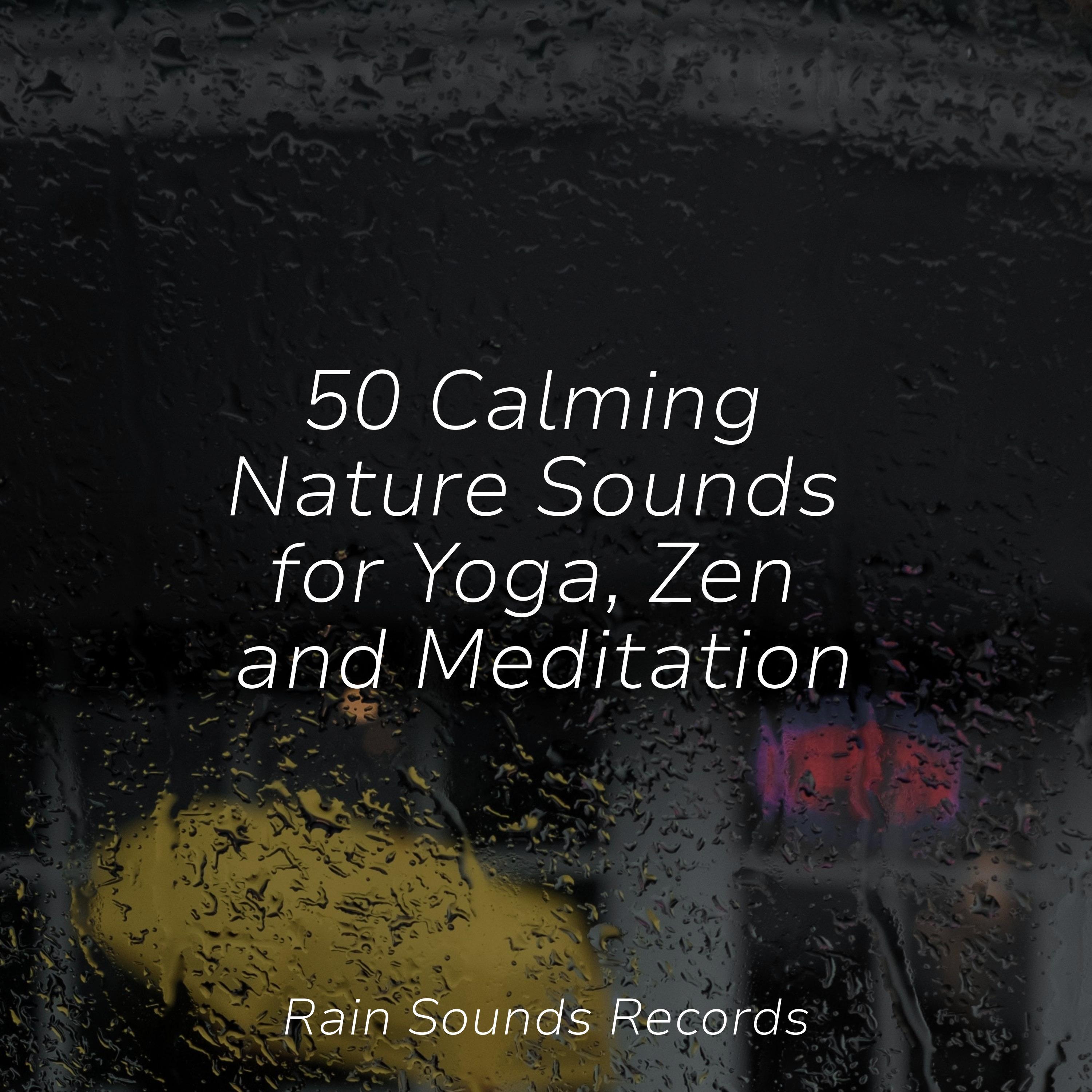 Enchanted Tides - Sea Waves Sounds/White Noise For Baby Sleep/Relaxing ...