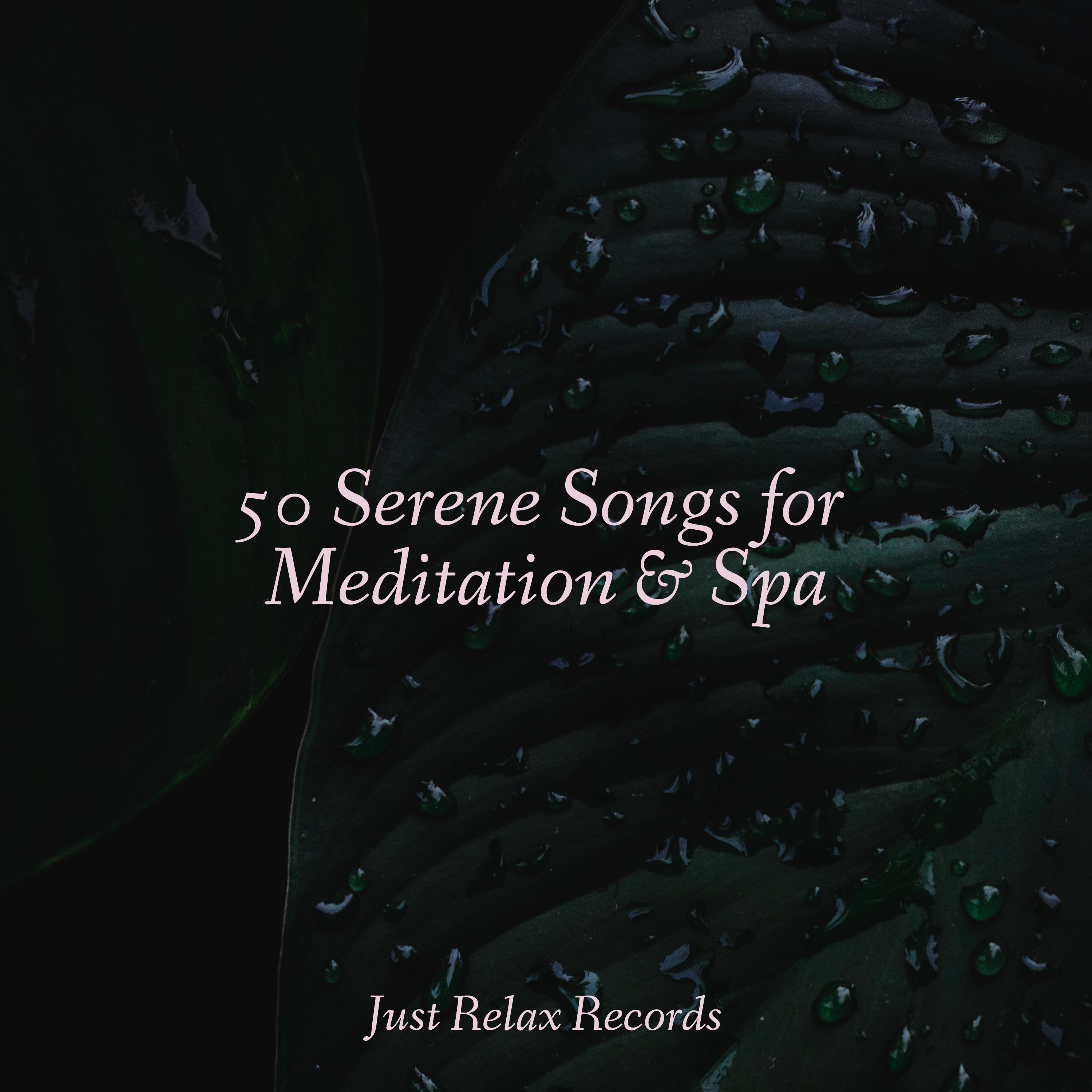 Stardust Symphony's Song - Sleep Baby Sleep/Natural Sounds/Yoga Music ...