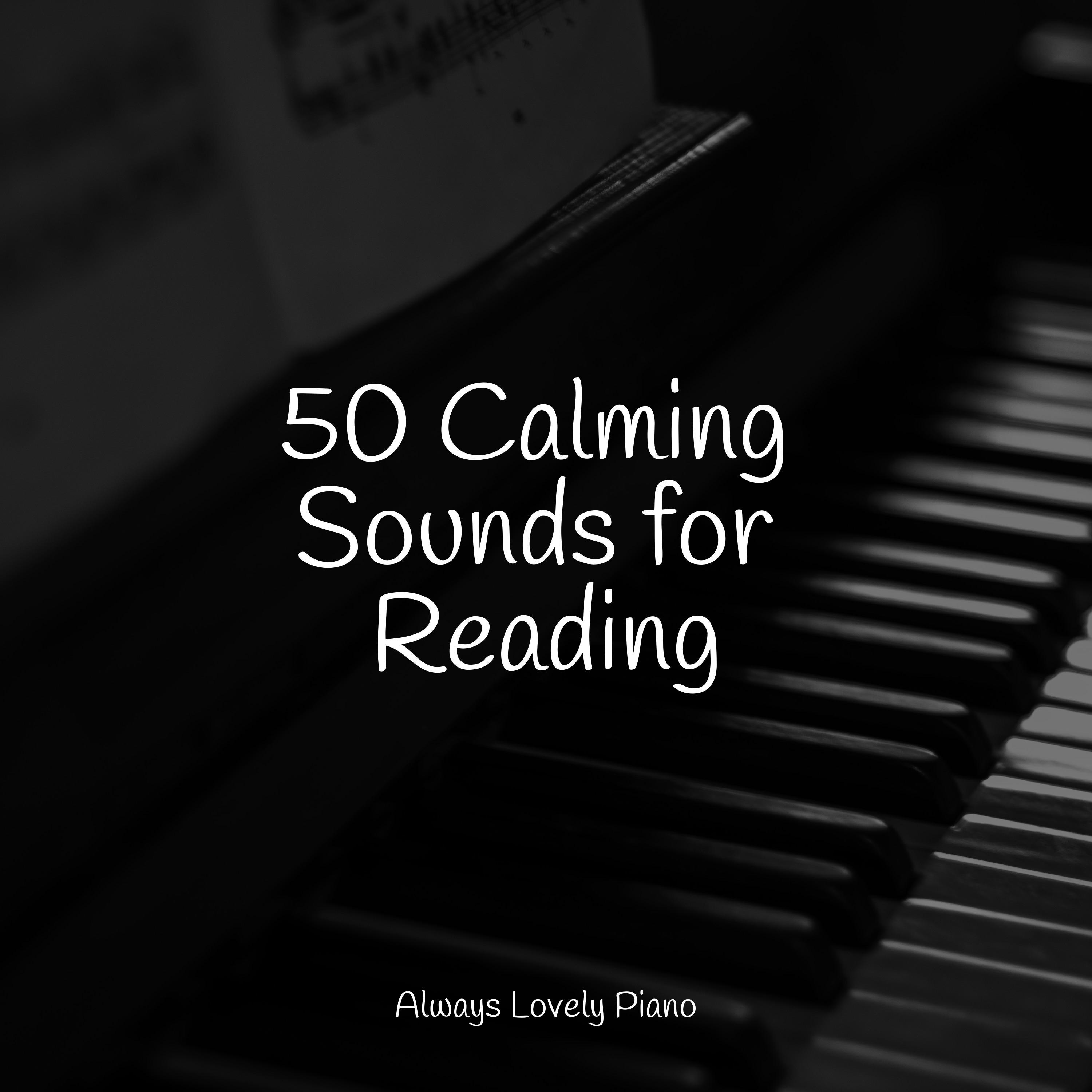 50 Calming Sounds for Reading - Piano: Classical Relaxation - 专辑 - 网易云音乐