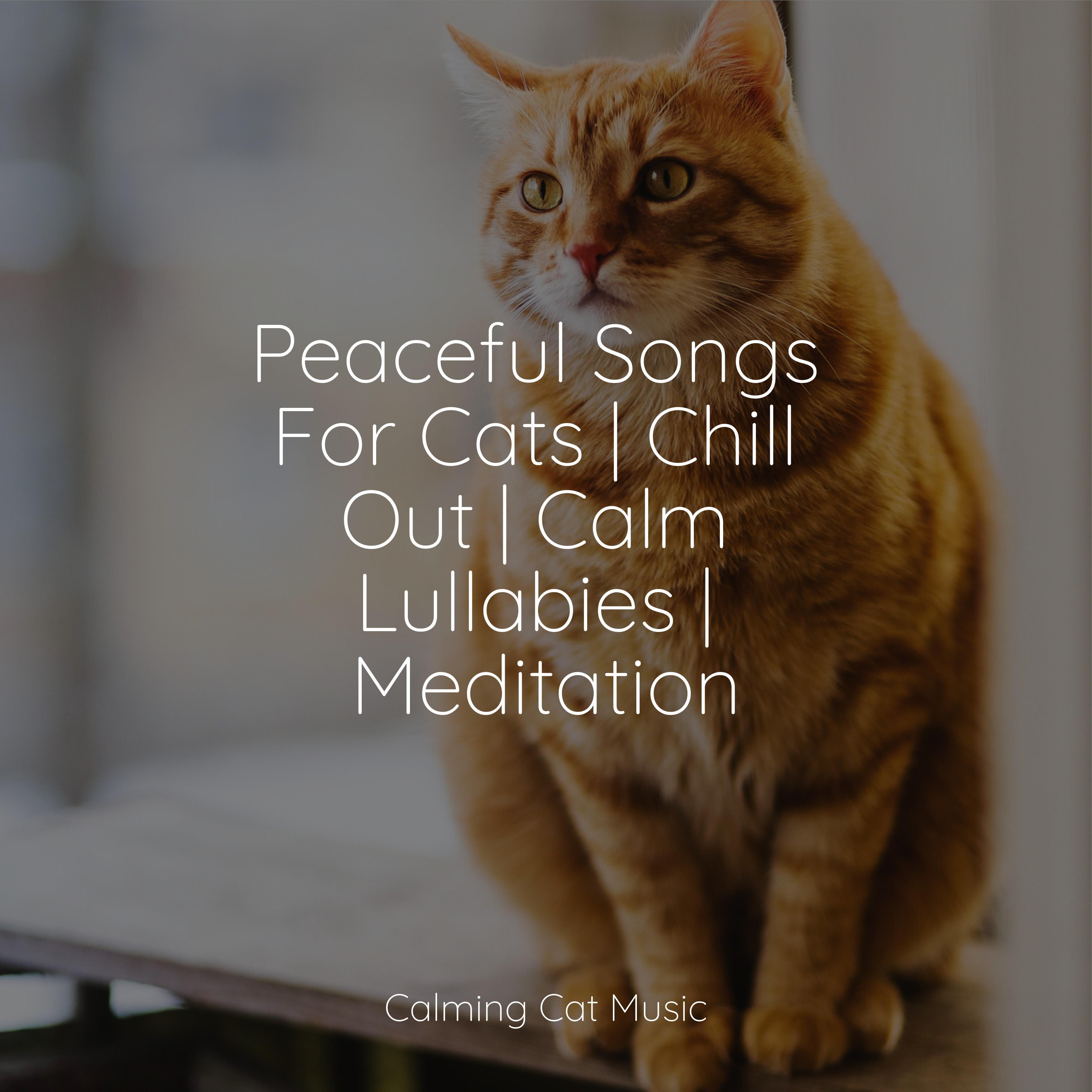 An Inner Sunshine - Jazz Music Therapy for Cats/Music for Cats Project ...