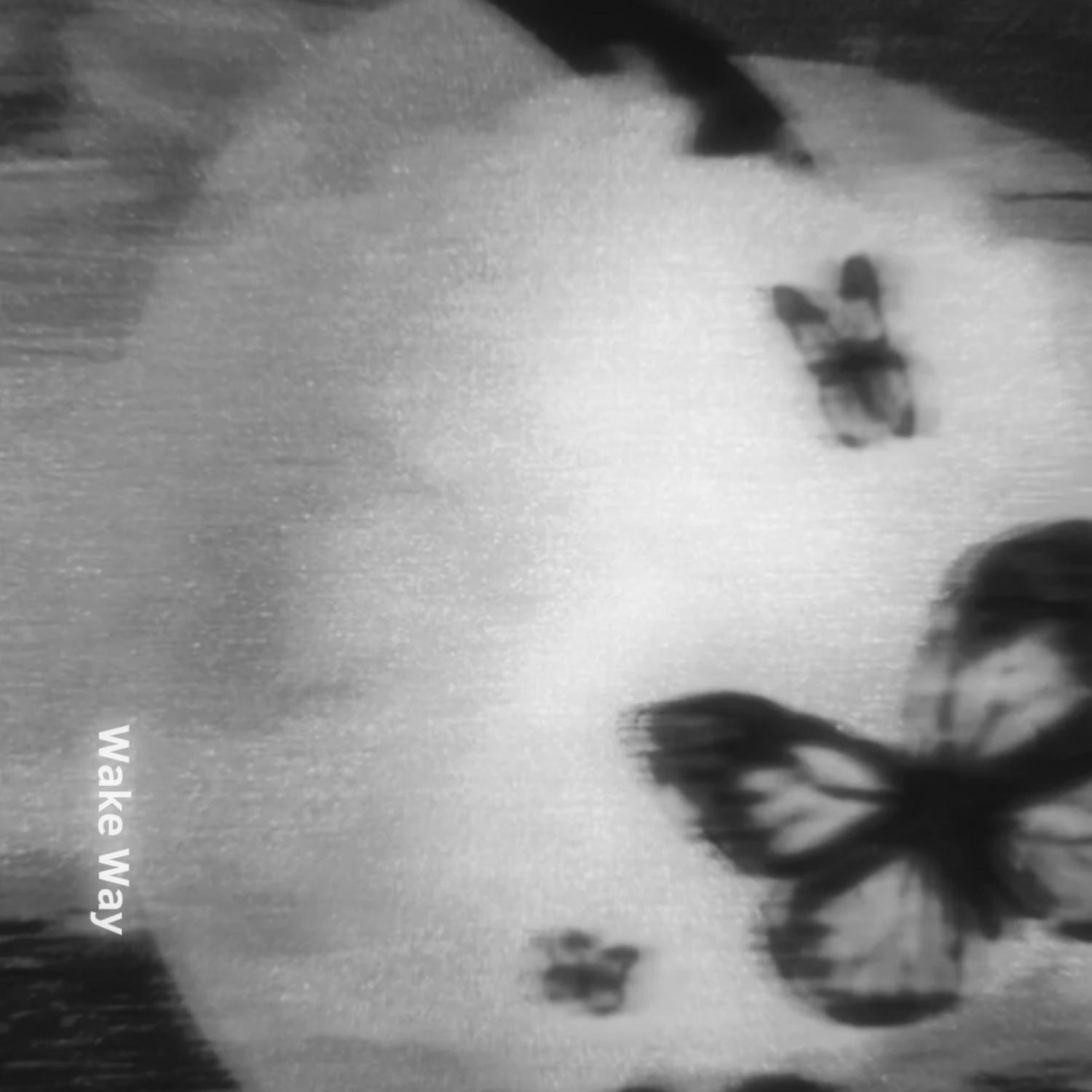 Wake Way - continuezf - 单曲 - 网易云音乐