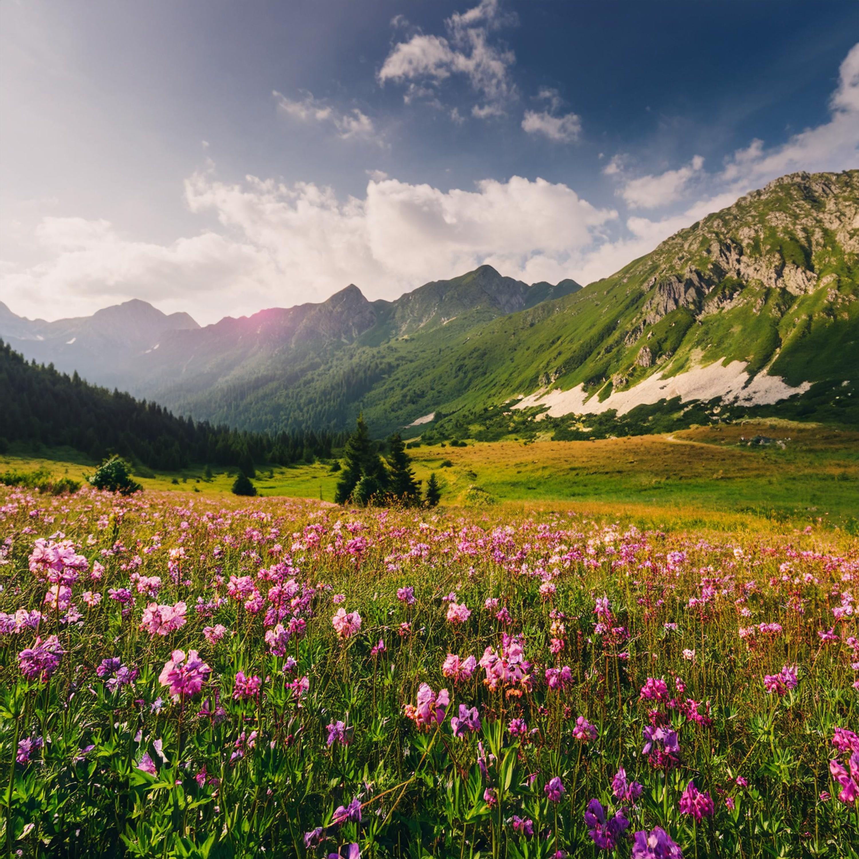 Música Pacífica Y Silenciosa Para La Tarde - Los Autores/Musica para ...