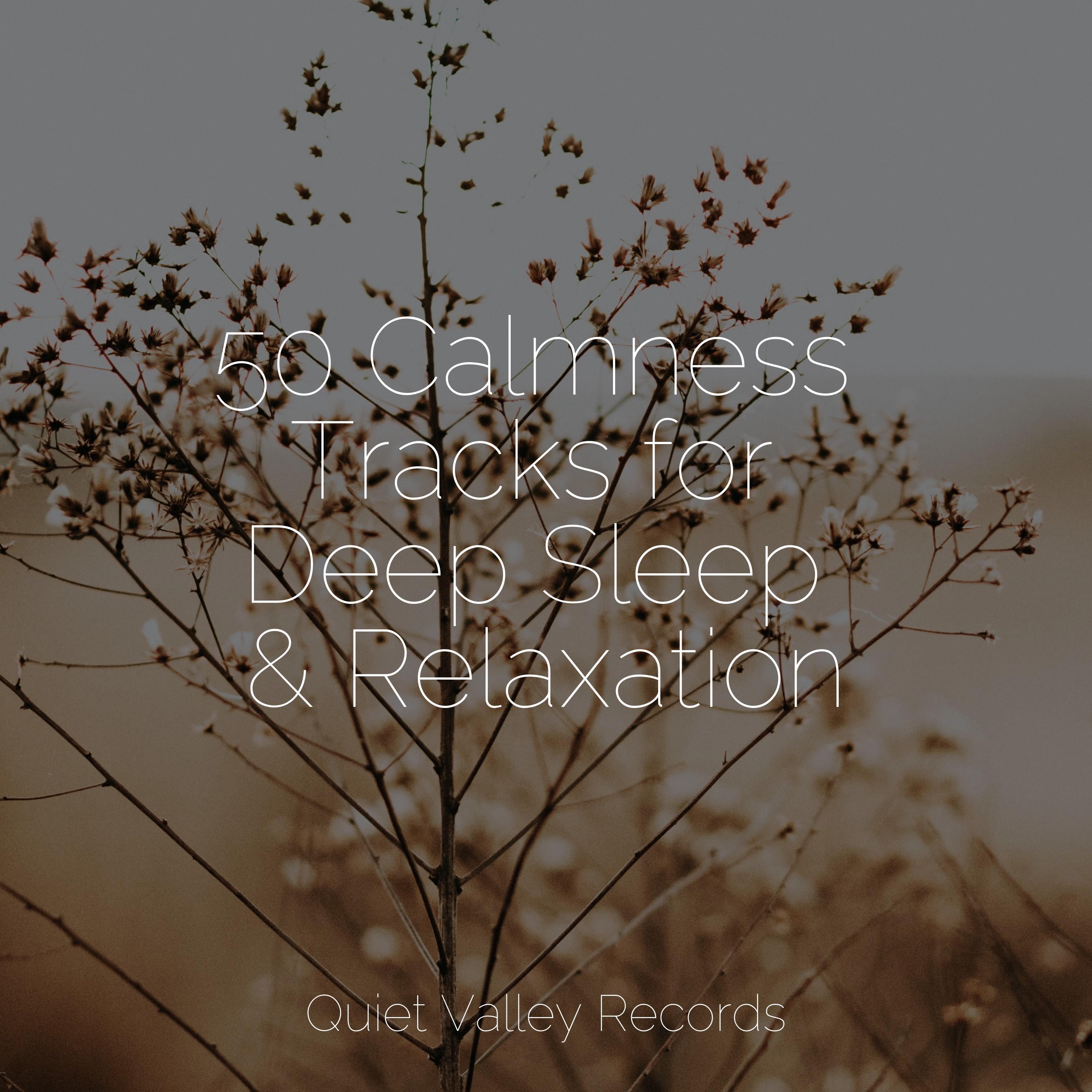 Peace and Tranquility - Relaxing Sleep Sound/Relaxing Sounds Of Nature ...