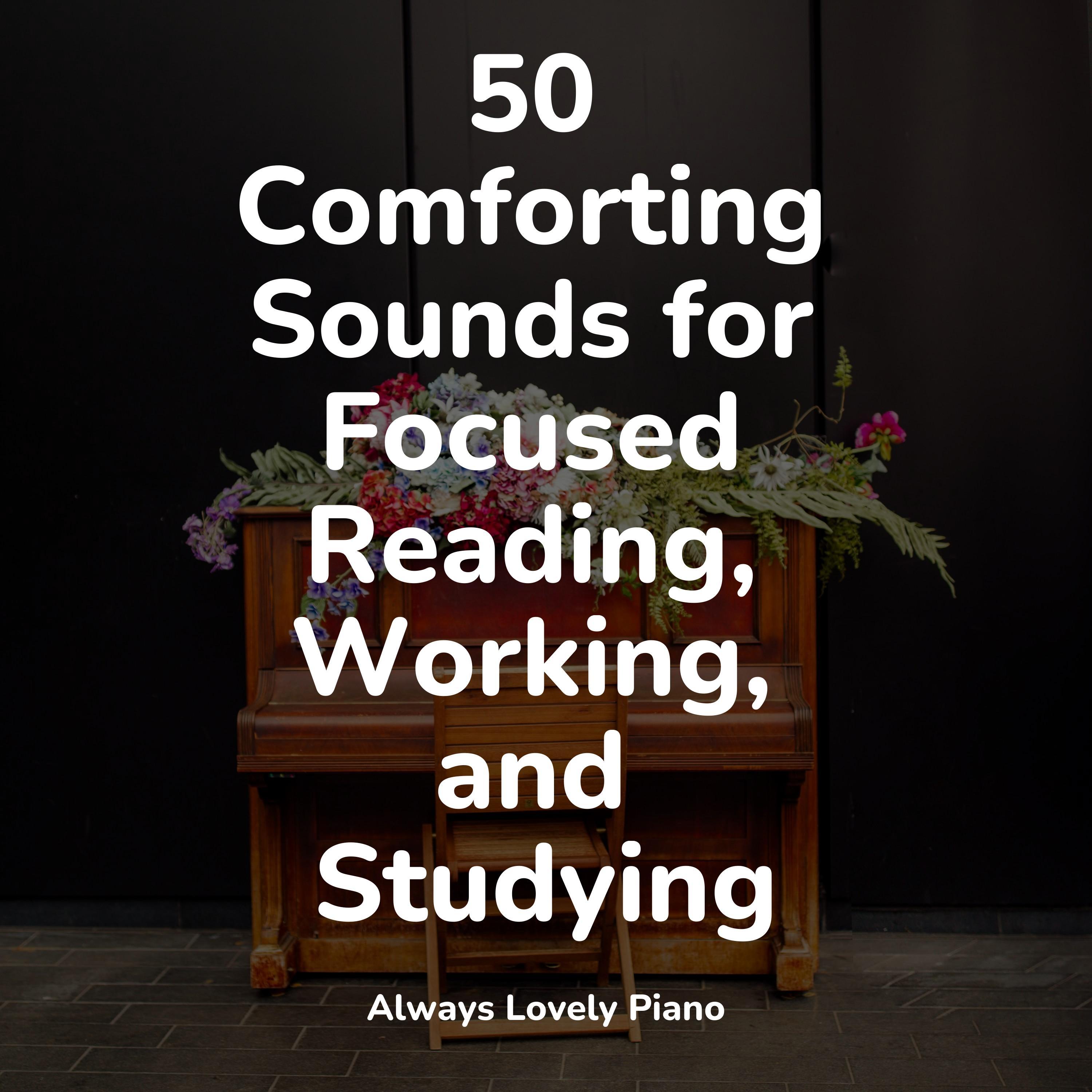 Playful - Calm Shores/Musica de Piano Escuela/Easy Listening Piano - 单曲 ...