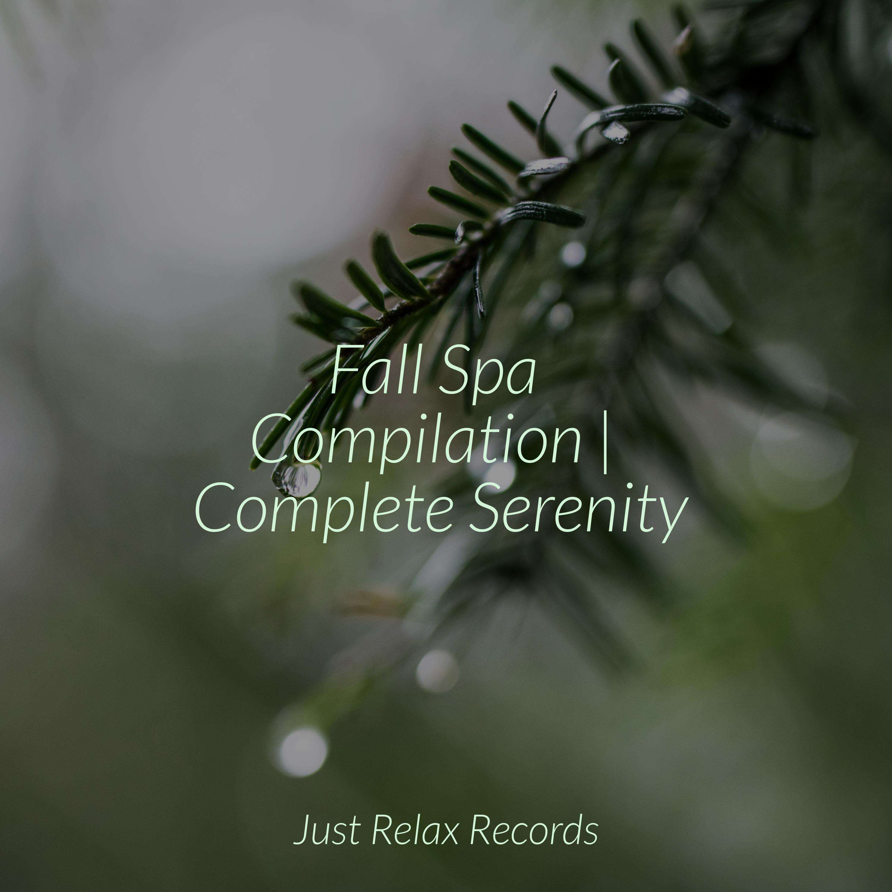 Lost in Destiny's Labyrinth - Spa Relaxation & Spa/Musica Romantica ...