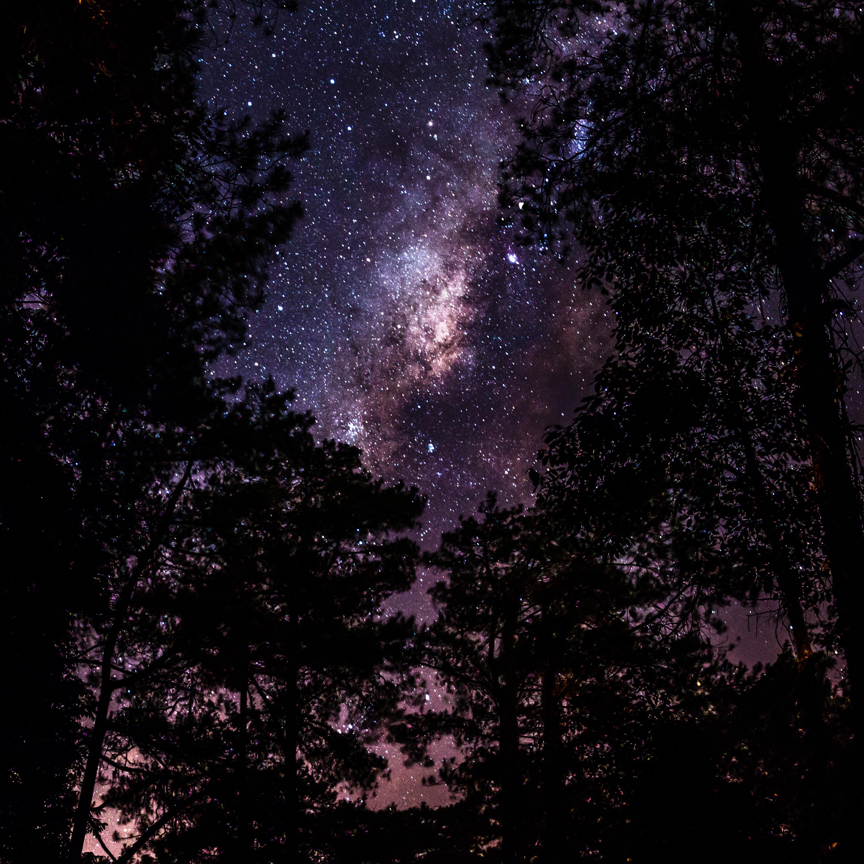 Sense of Belonging - Life Sounds Nature/Bedtime Baby/ASMR Rain Sounds ...