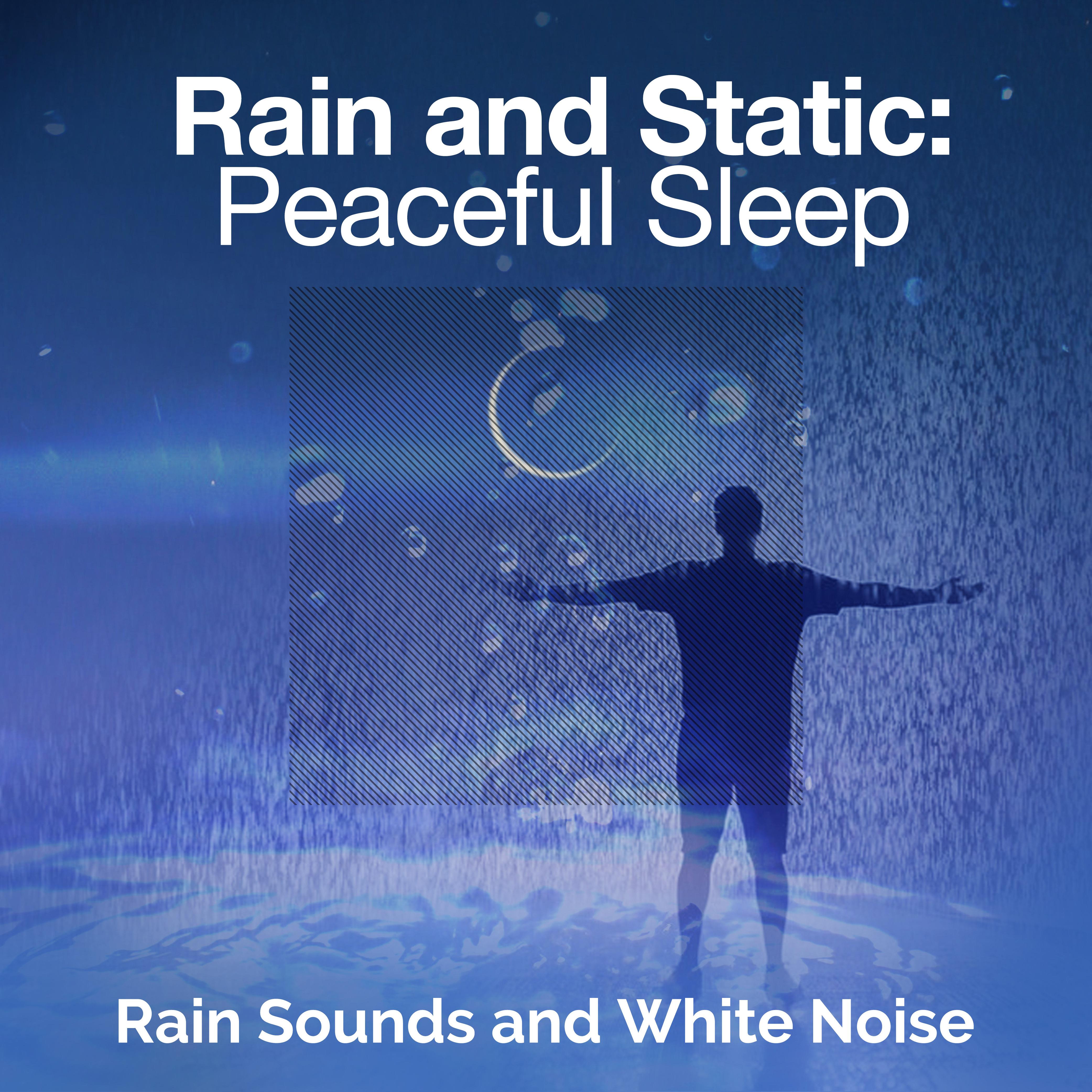 Splashing Rainfall - Rain Sounds and White Noise - 单曲 - 网易云音乐