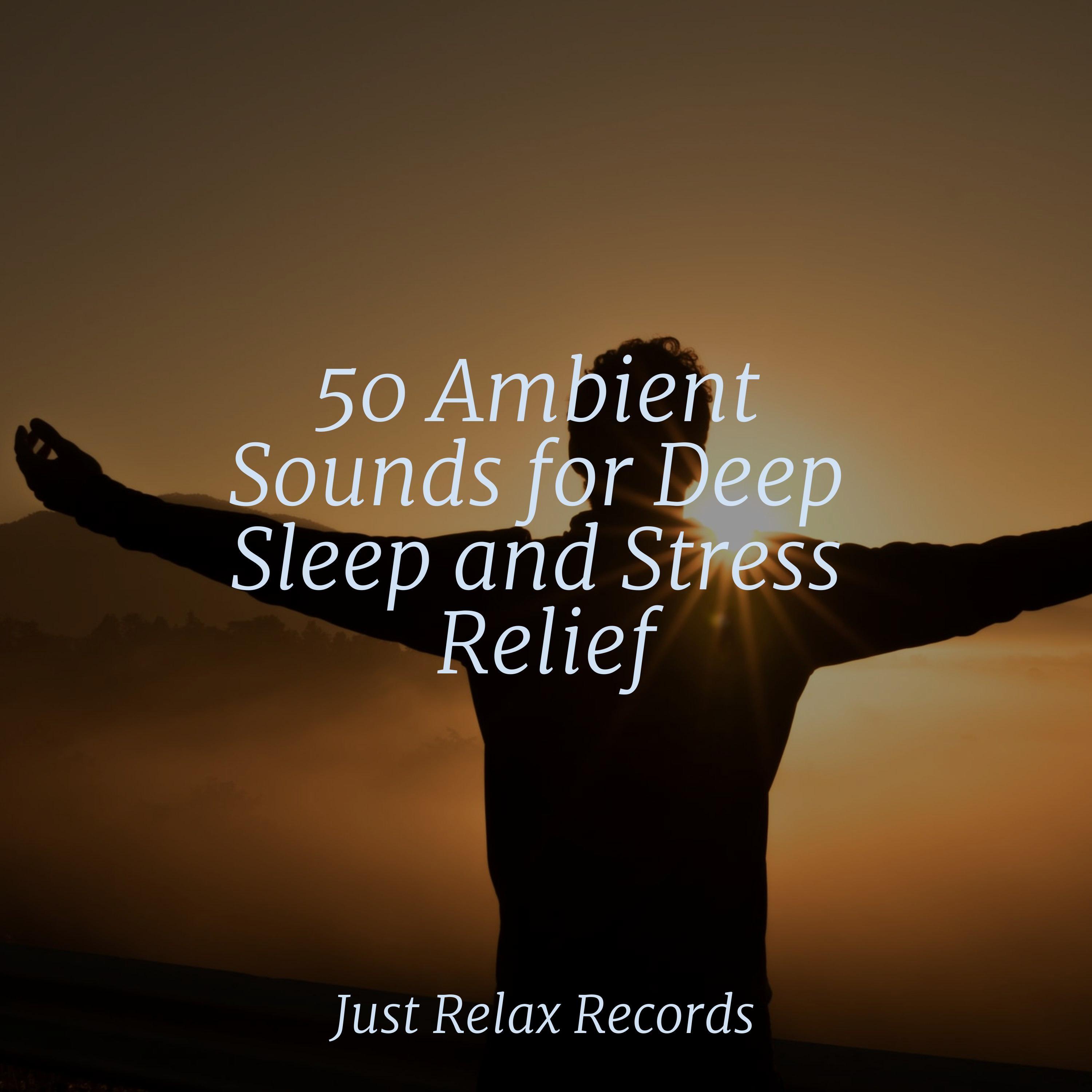 Tranquil Echoes of the Sea - Pro Sound Effects Library/Meditation ...