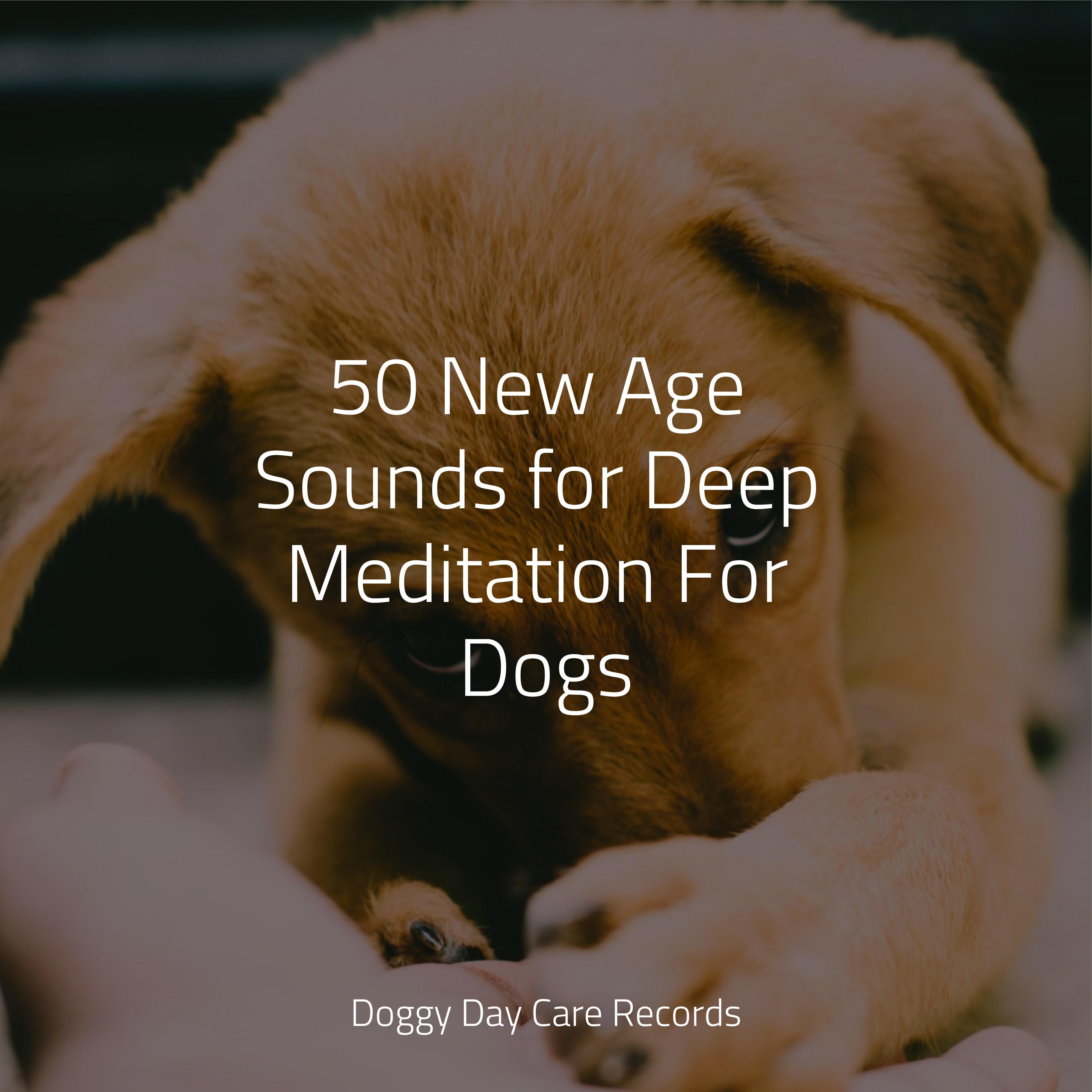 Stress Free Sounds - Music for Pets Library/Relaxing Music for Dogs/Dog ...