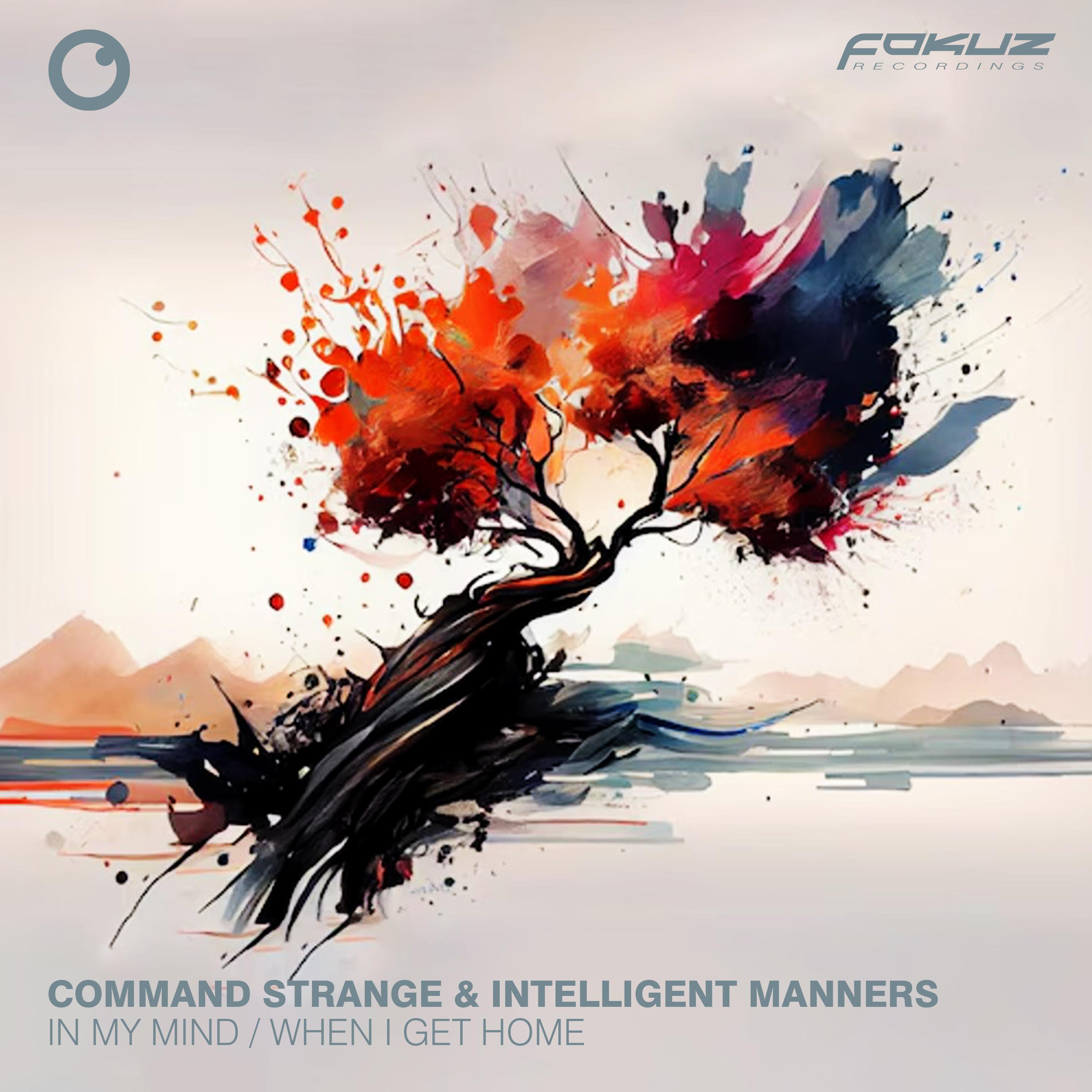 In My Mind - Command Strange/Intelligent Manners - 单曲 - 网易云音乐