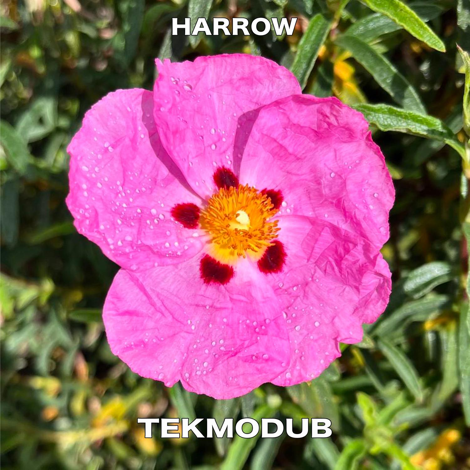 Chief of Ghosts - David Harrow - 单曲 - 网易云音乐