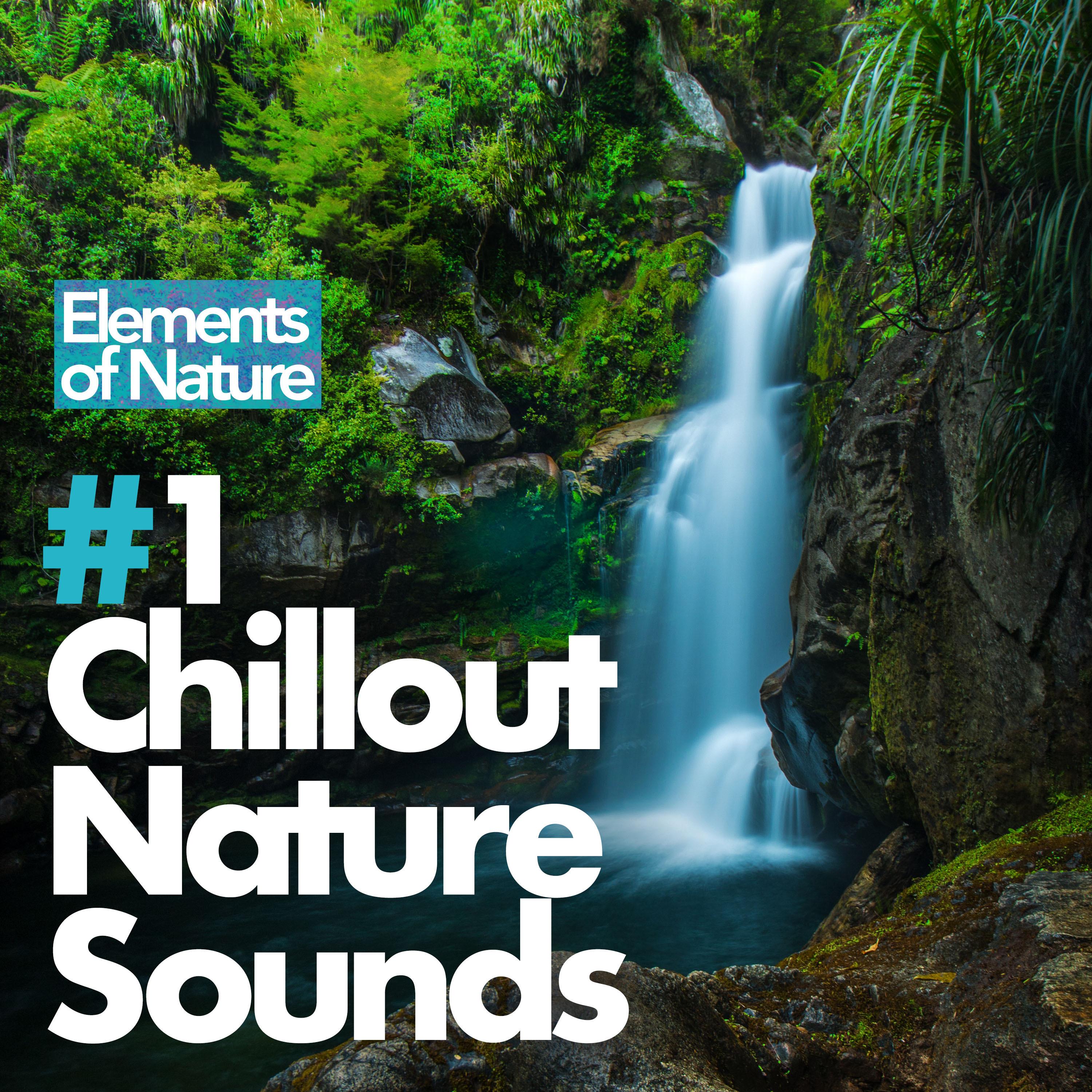 #1 Chillout Nature Sounds - Elements of Nature - 专辑 - 网易云音乐