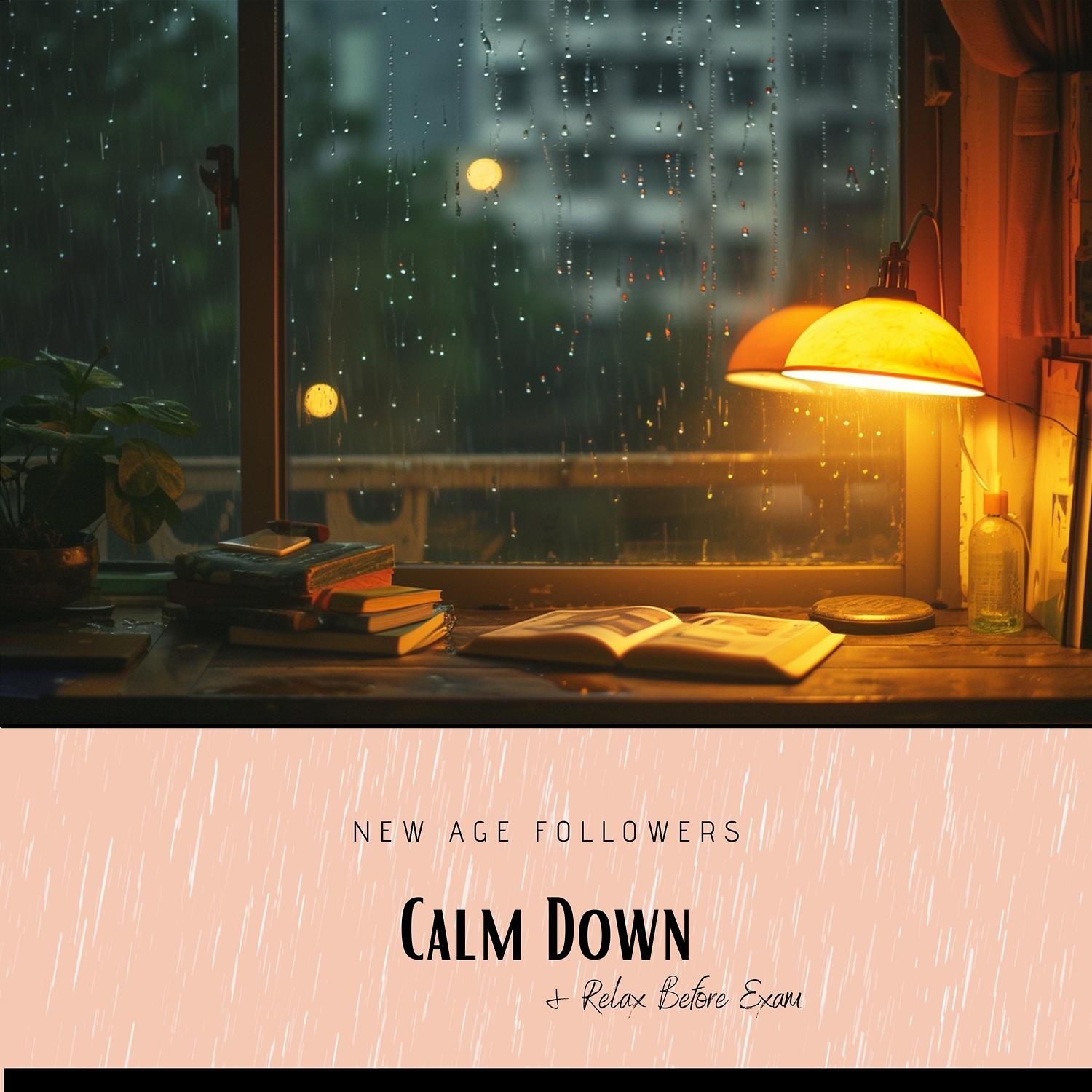 Calm Down - New Age Followers - 单曲 - 网易云音乐