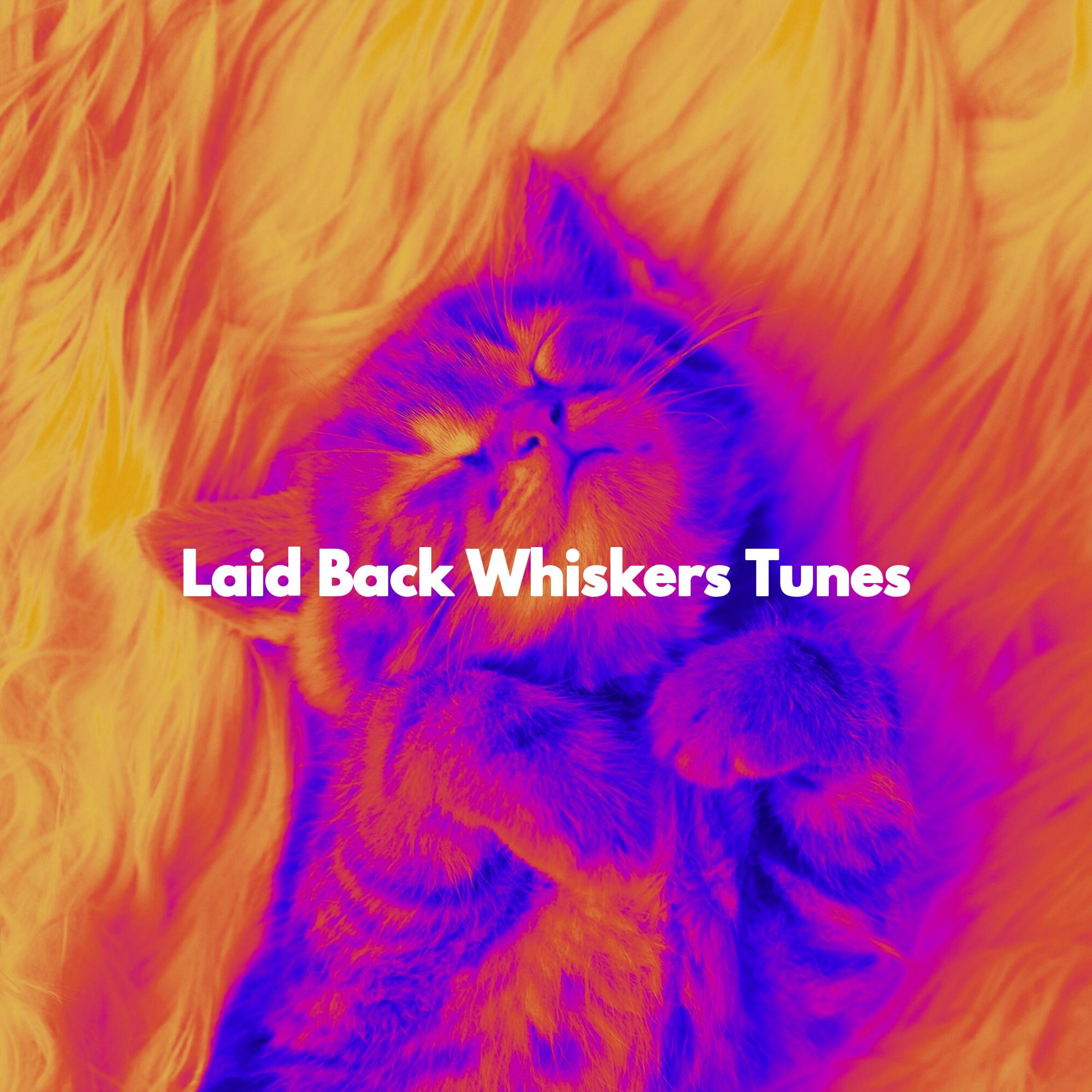 Laid Back Whiskers Tunes - Música Romántica para Bares en México City ...