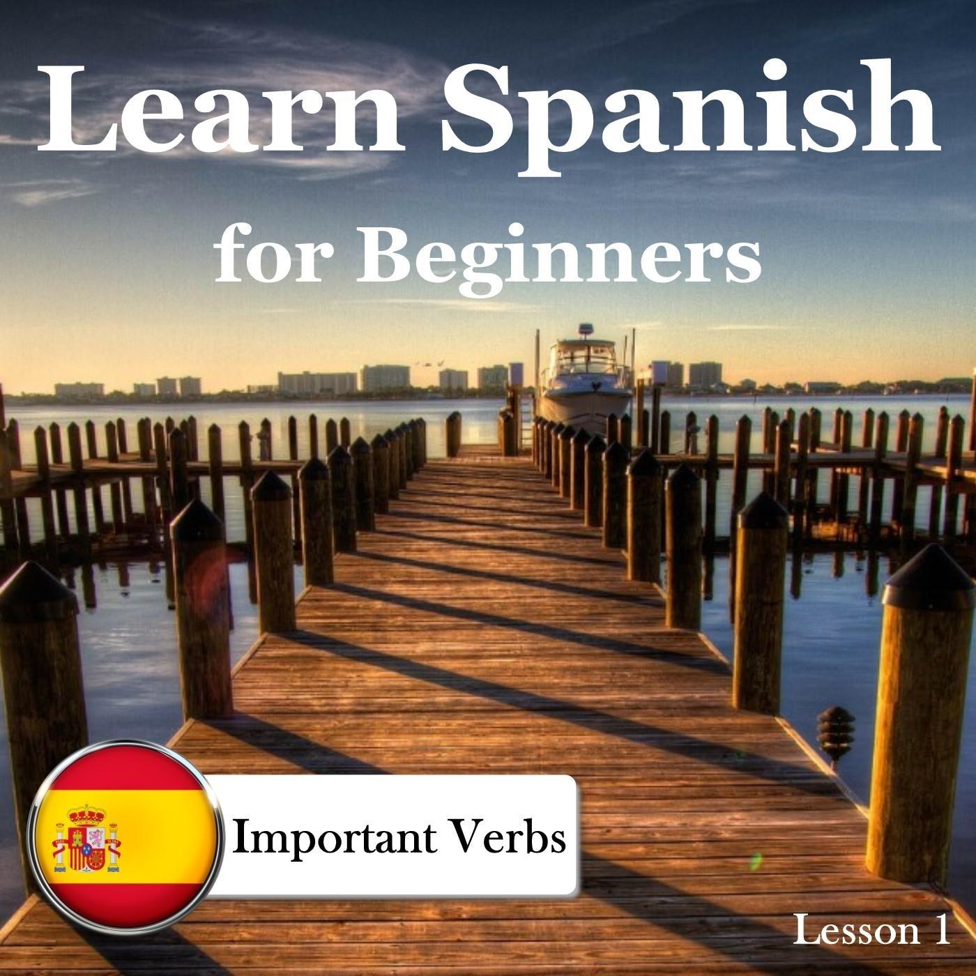 Learn Spanish Verbs: Llevar - To Carry, To Bring - Señor Español/Mrs ...