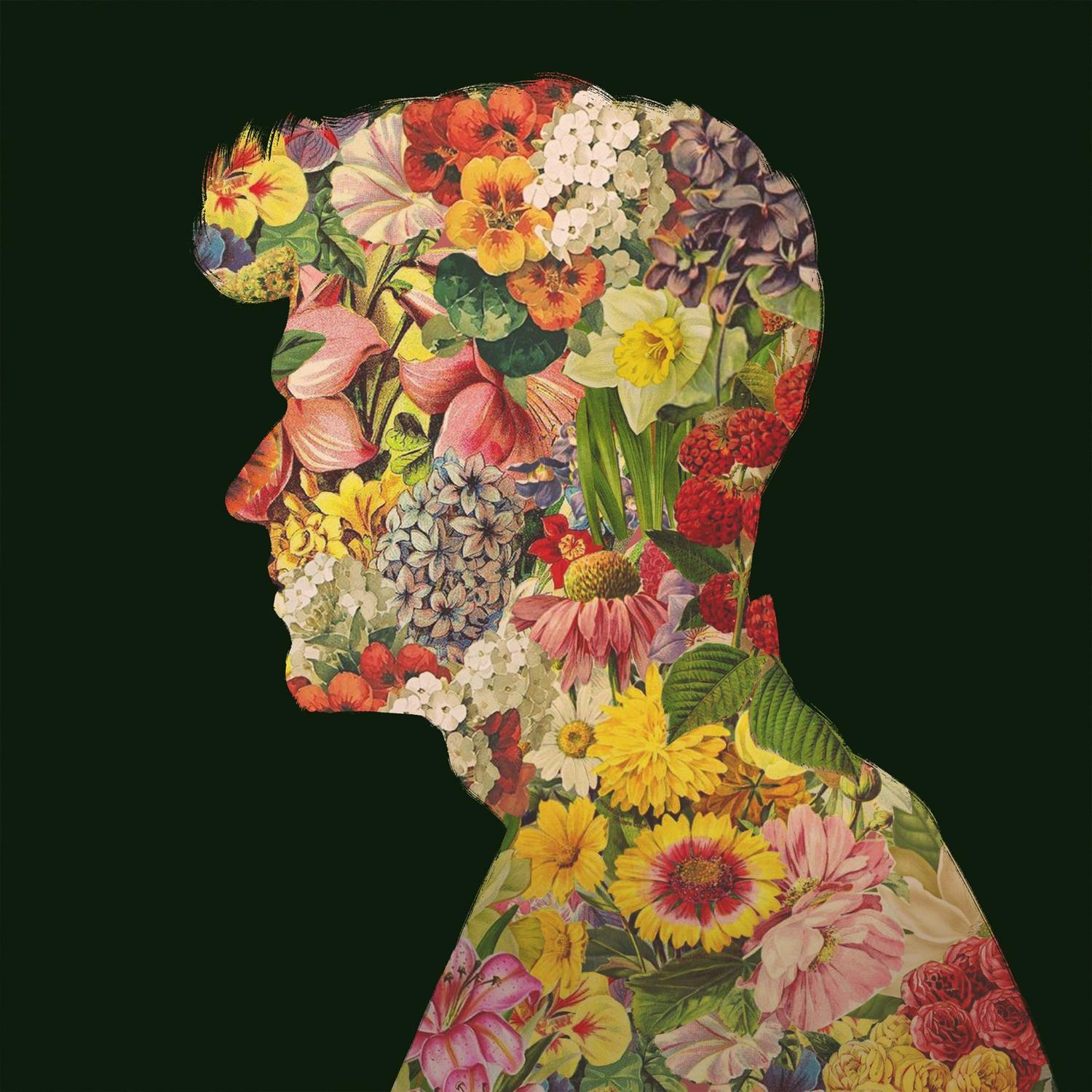 Love Grows (Where My Rosemary Goes)（爱意与日俱增） - Sonny Tennet - 单曲 - 网易云音乐